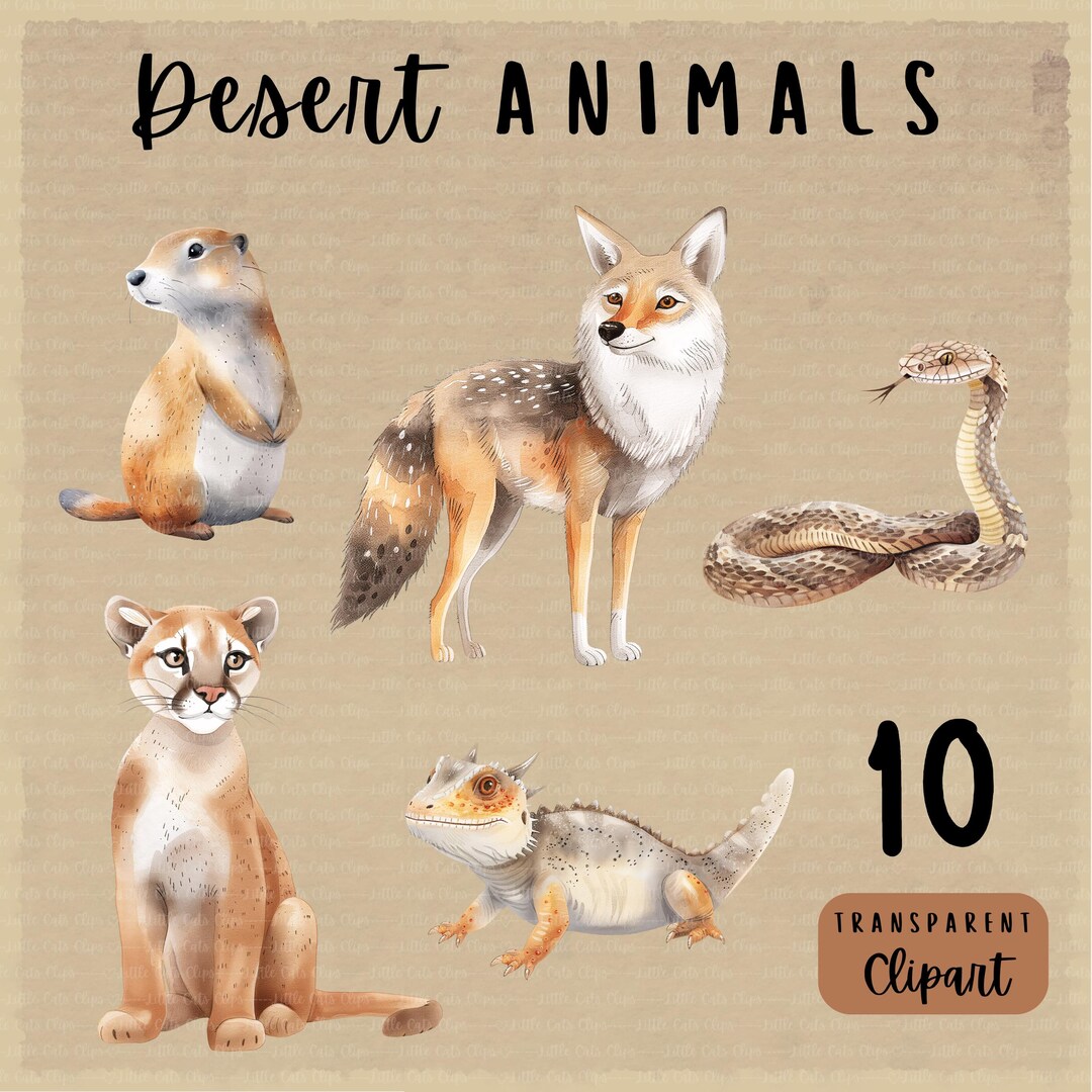Desert Animals, Cute Desert Animal Clipart, Desert Animals Art Bundle ...