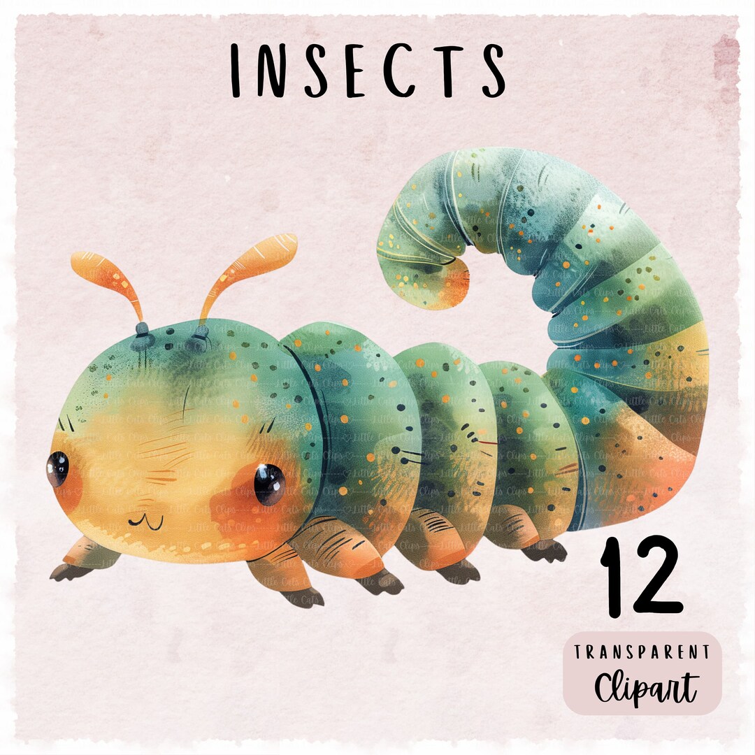 Happy Insects, Cute Minibeast Clipart, Common Insect Bundle PNG Set ...