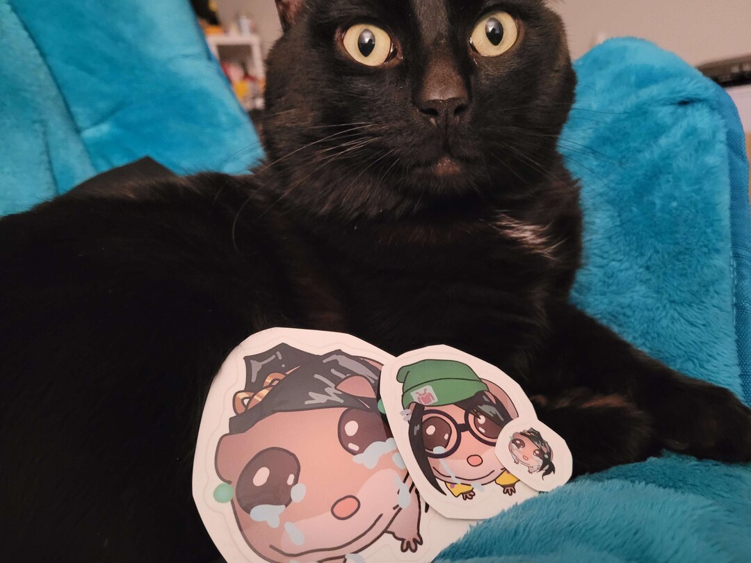 Valorant Sage and Killjoy Crying Hamster Stickers - Etsy