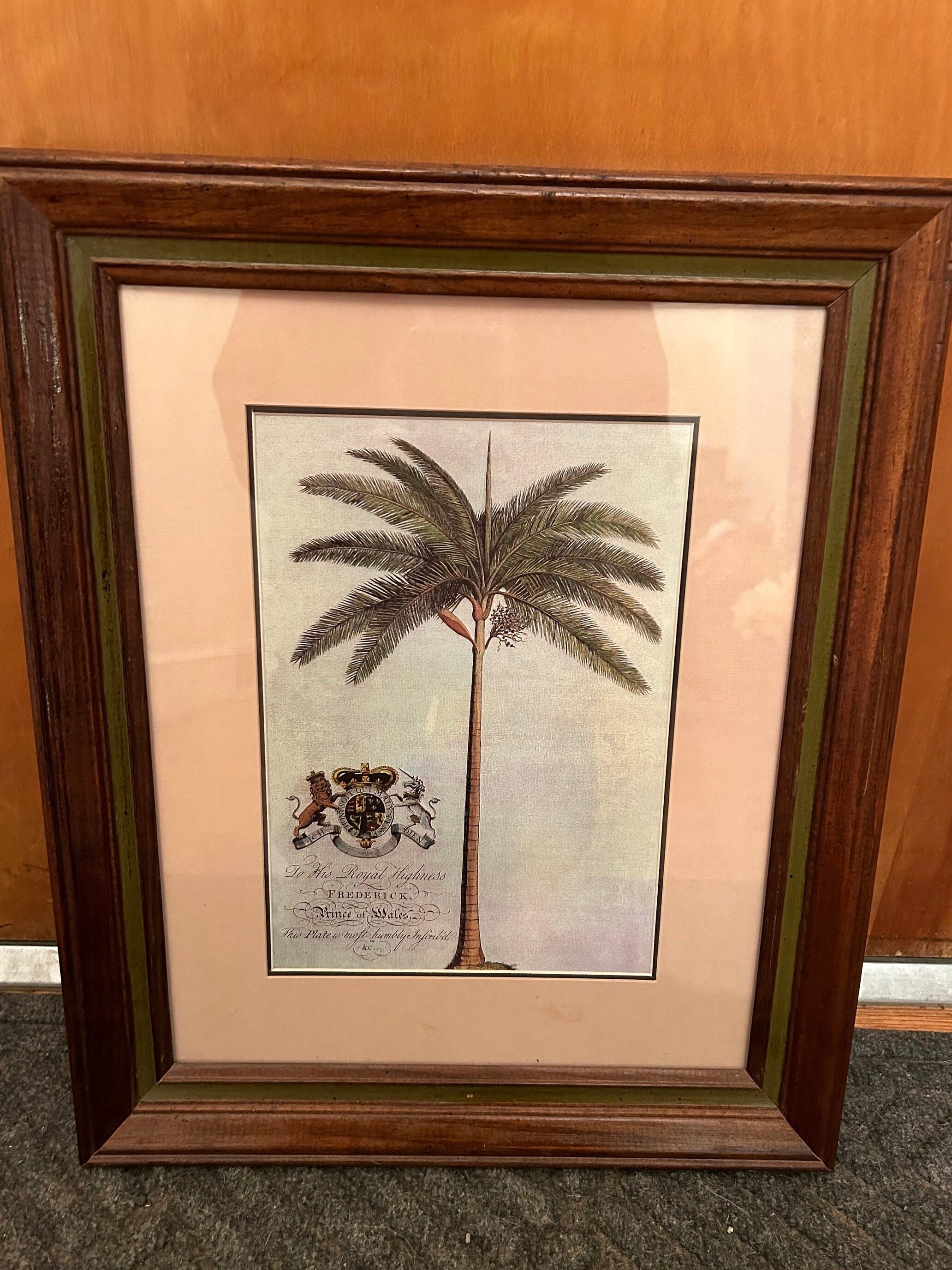 Dionysius Palms Print,georg Dionysius Ehret, Frederick Prince of Whales ...