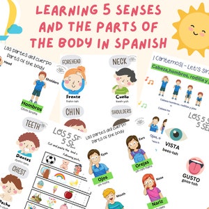 Parts of the Body and 5 Senses! - Etsy
