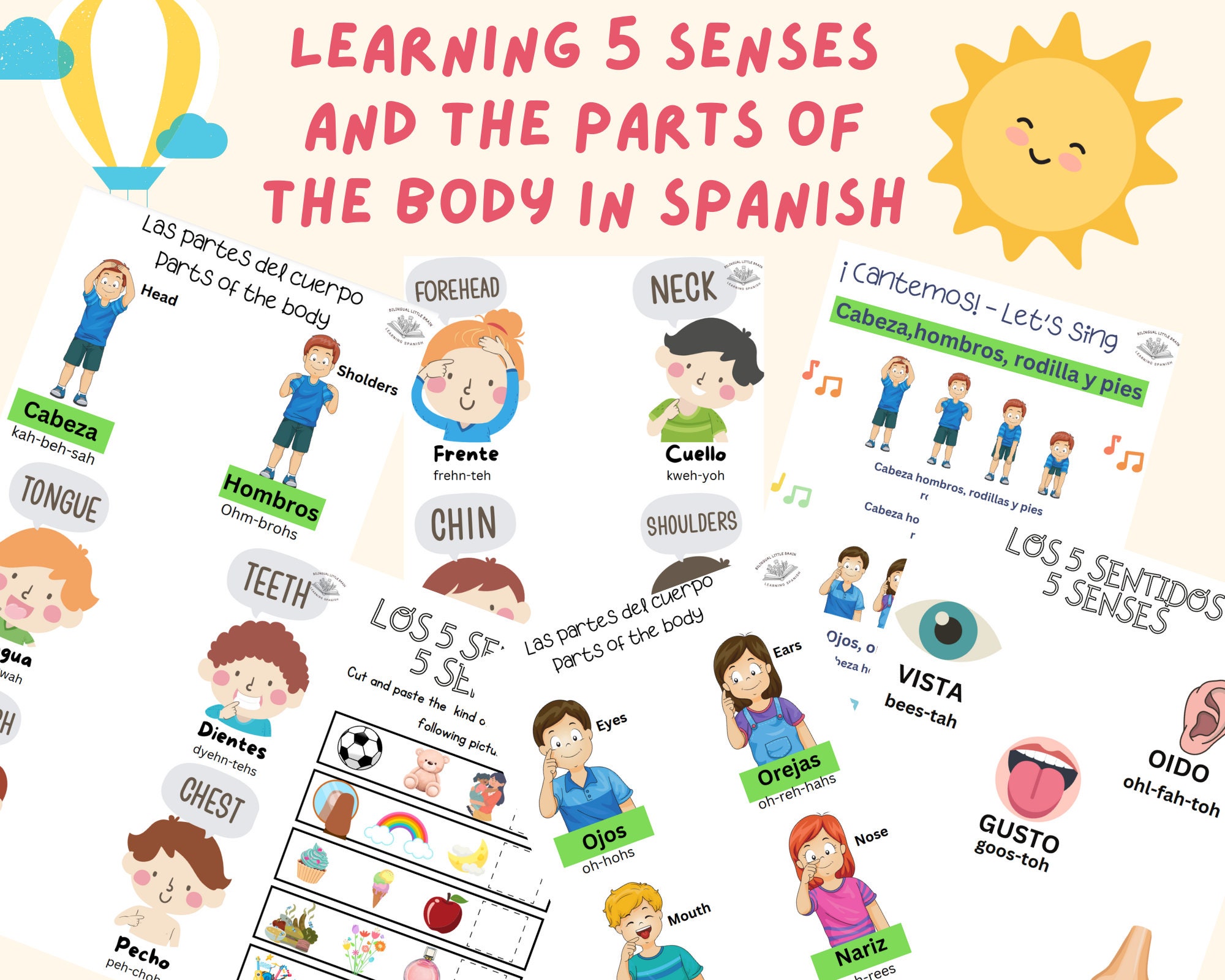 Parts of the Body and 5 Senses! - Etsy