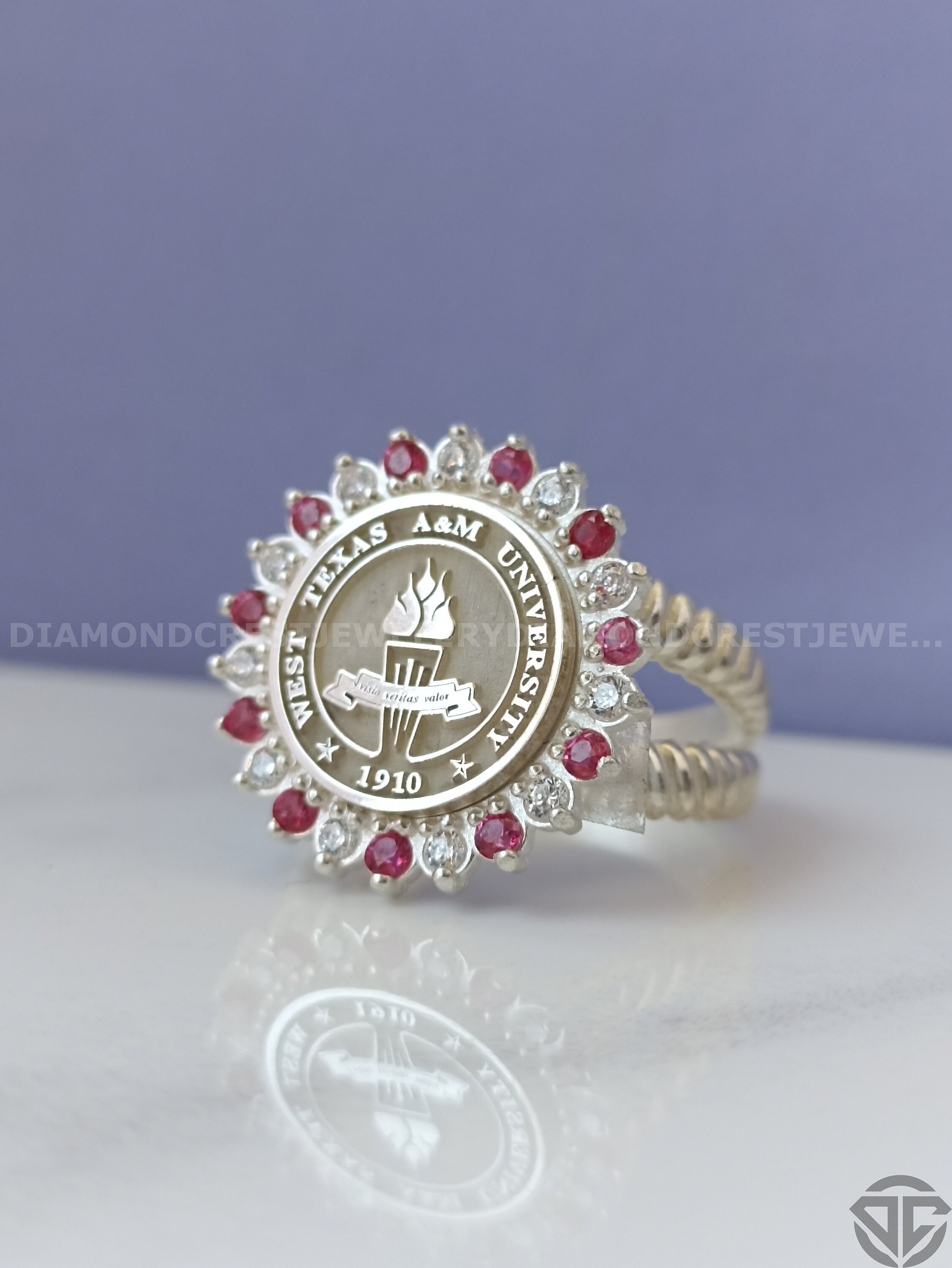 College Ring, University Ring, Graduation Gift, Class Rings, Senior ...