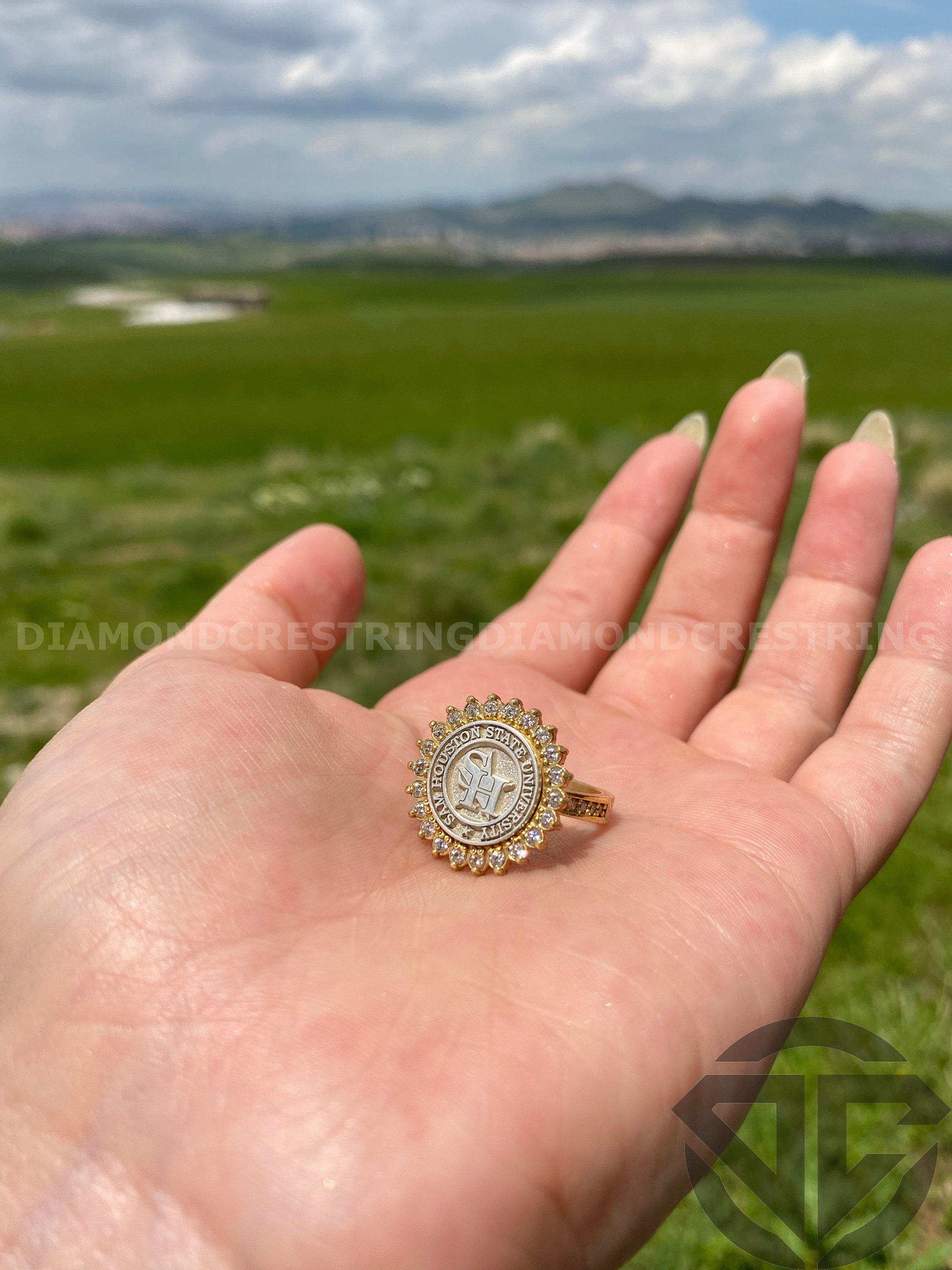 College Ring, University Ring, Graduation Gift, Class Rings, Senior ...