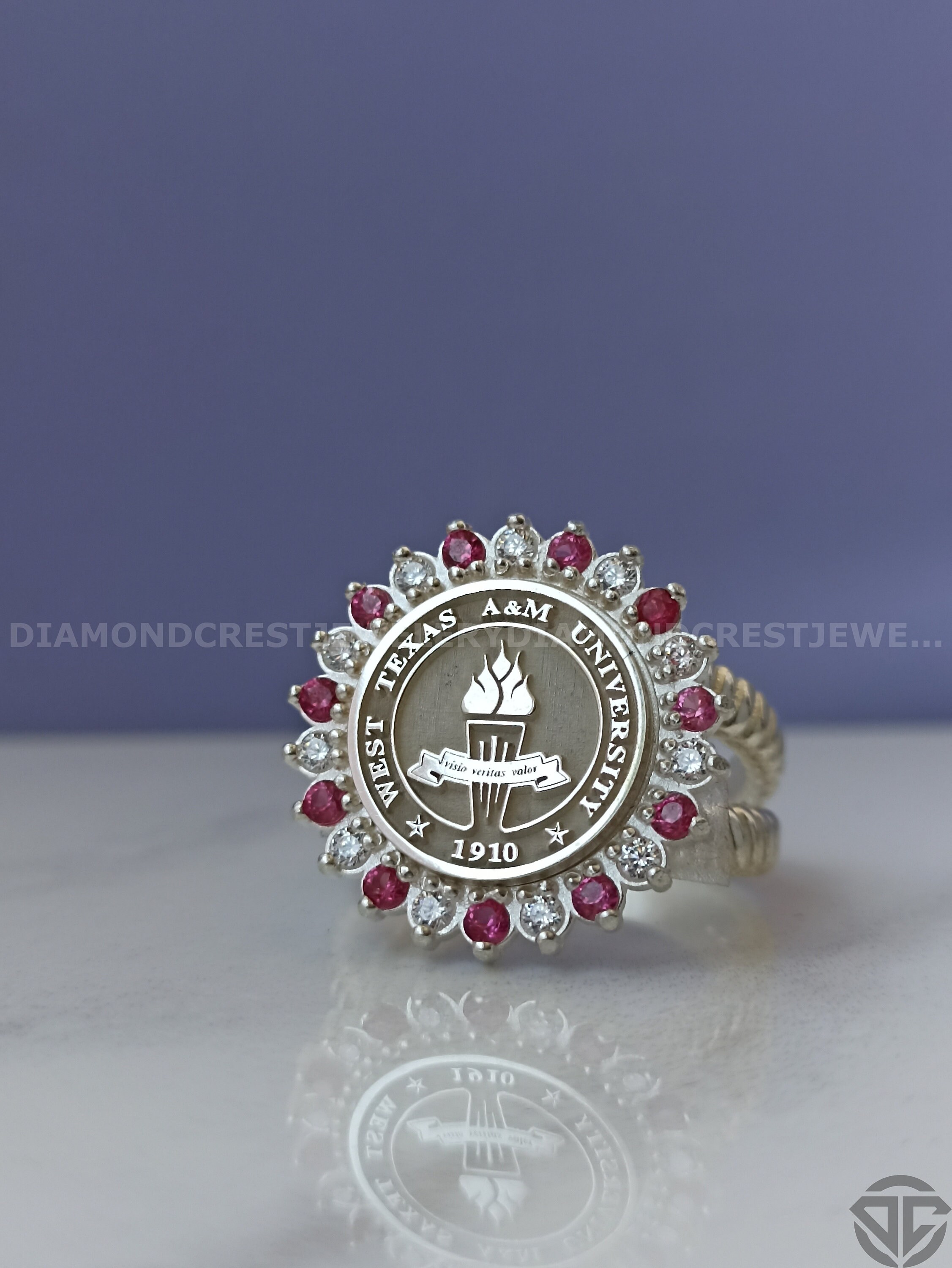 College Ring, University Ring, Graduation Gift, Class Rings, Senior ...