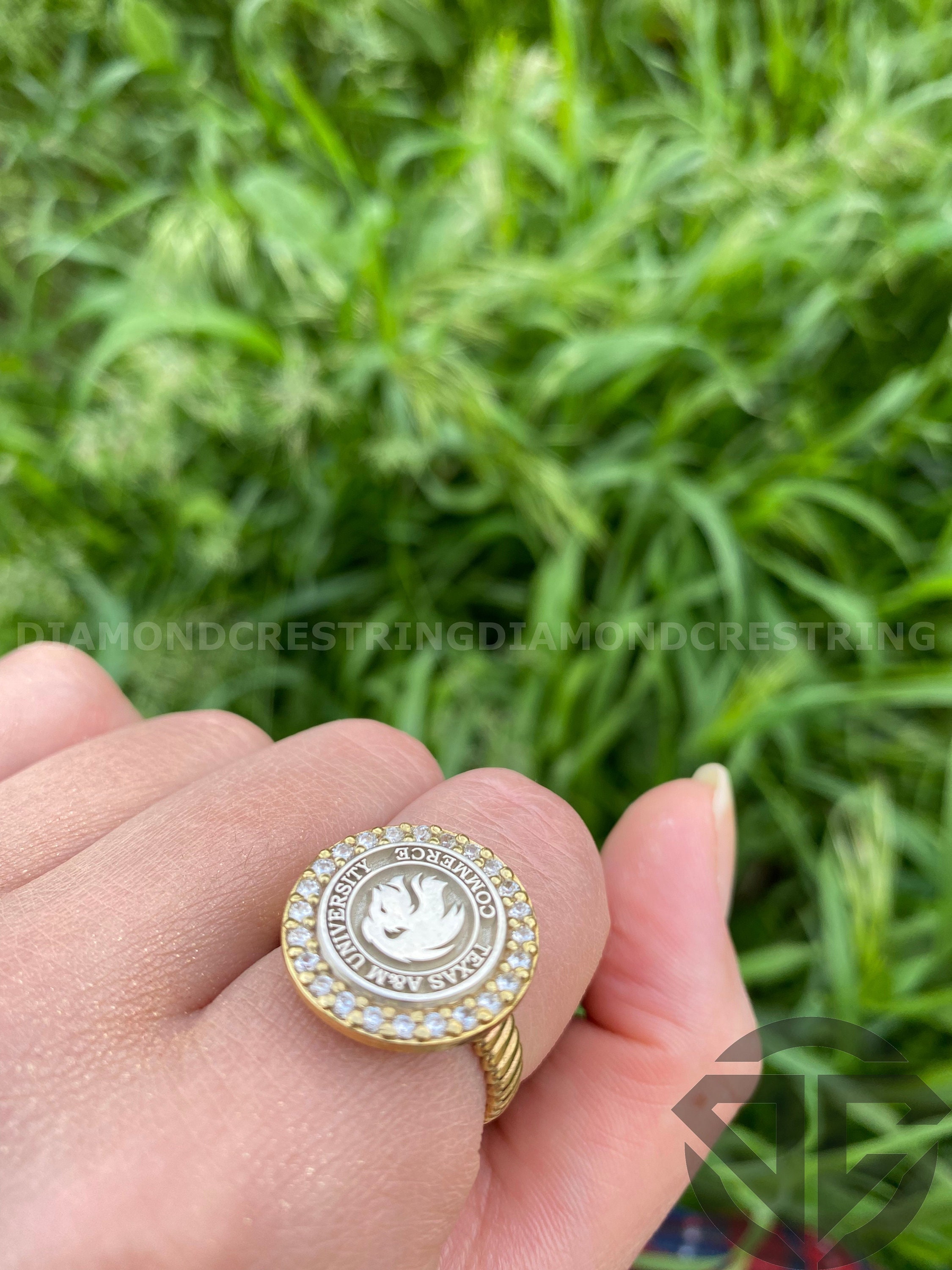 University Ring College Ring Graduation T Class Rings Senior Class Ring College Class
