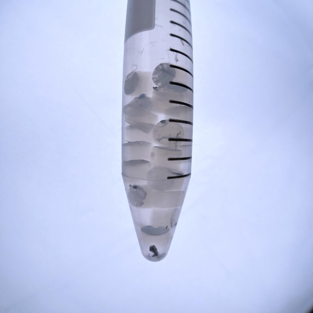 Sterile Distilled Water Storage Tubes - Etsy