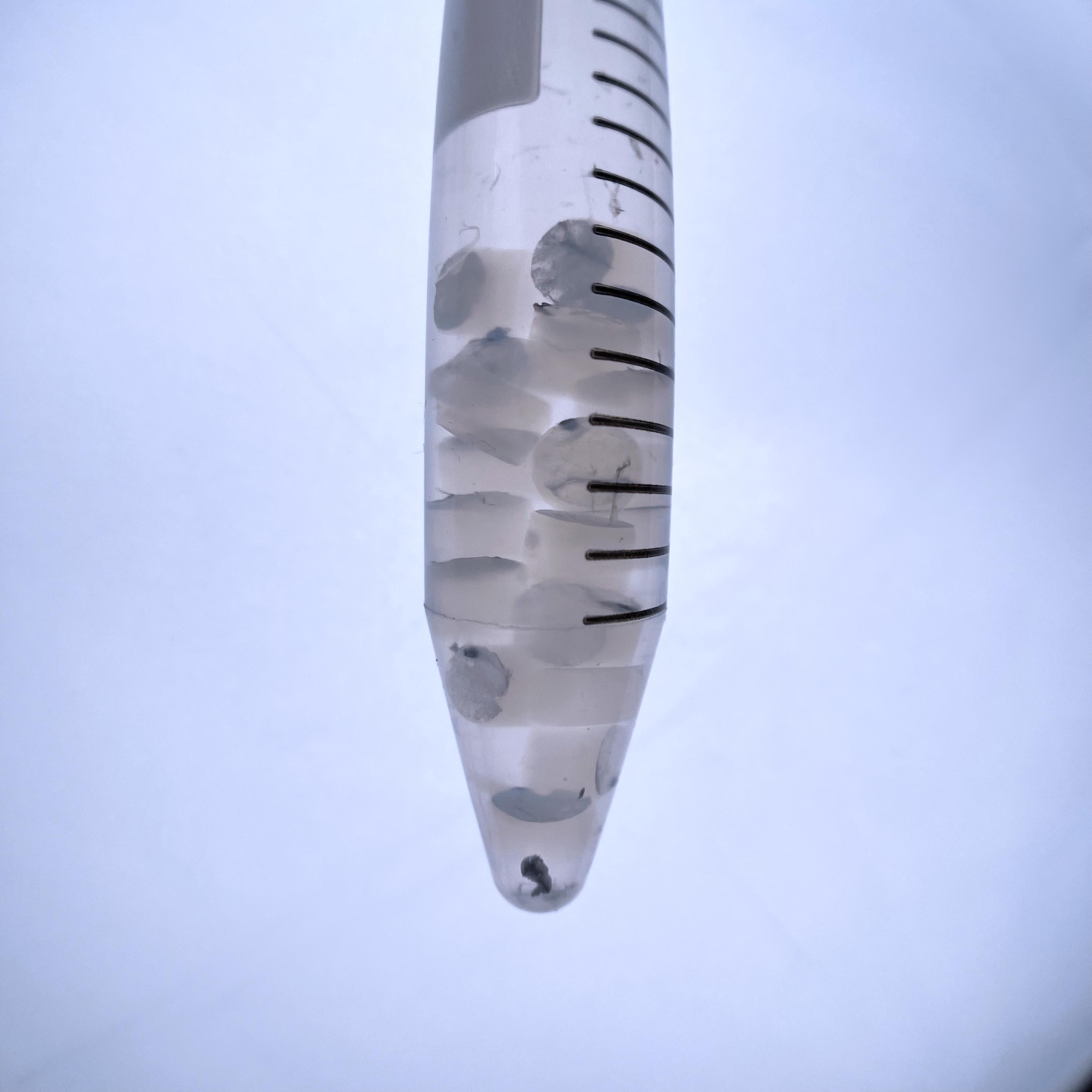 Sterile Distilled Water Storage Tubes - Etsy