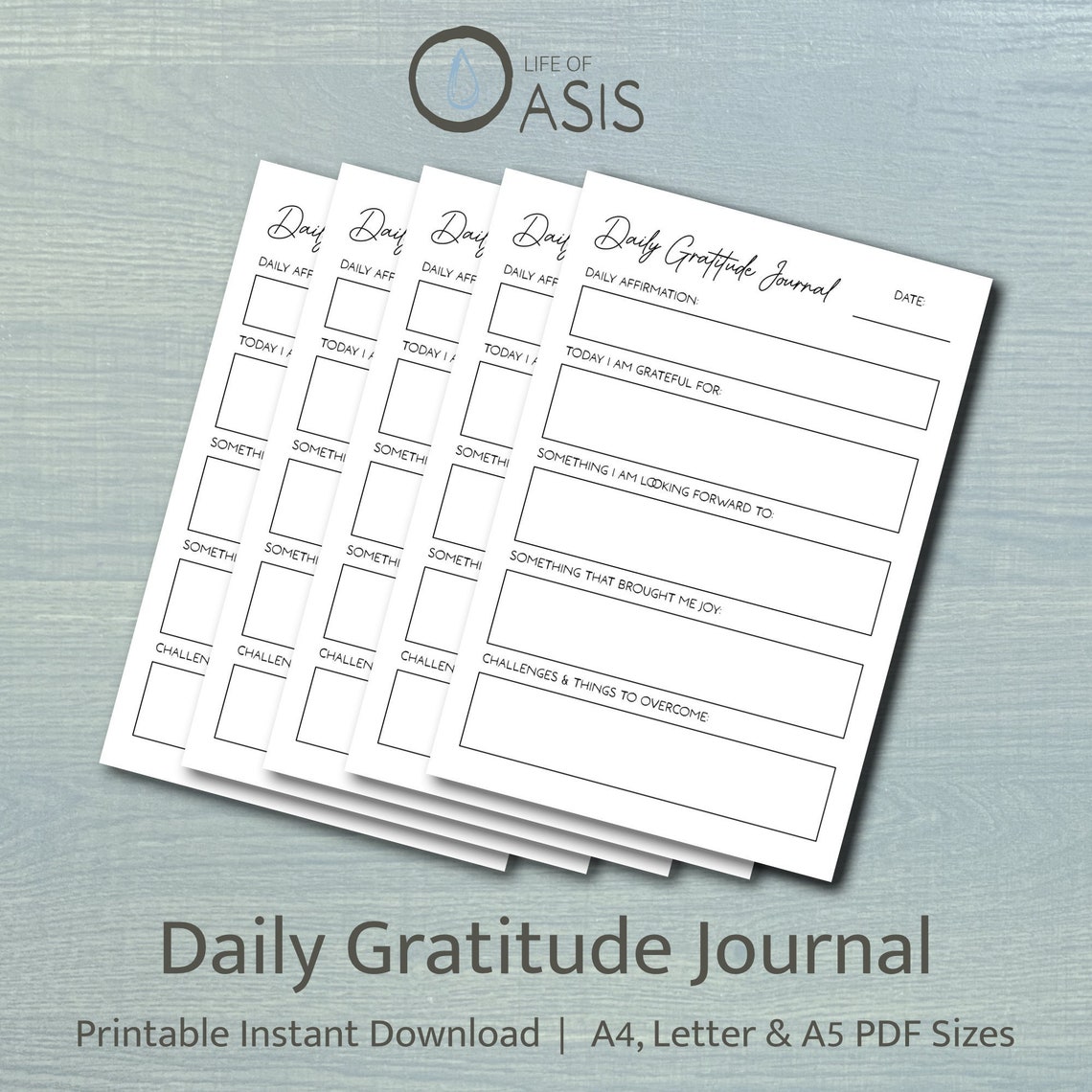 Daily Gratitude Journal Printable, Gratitude Printable, Affirmation ...