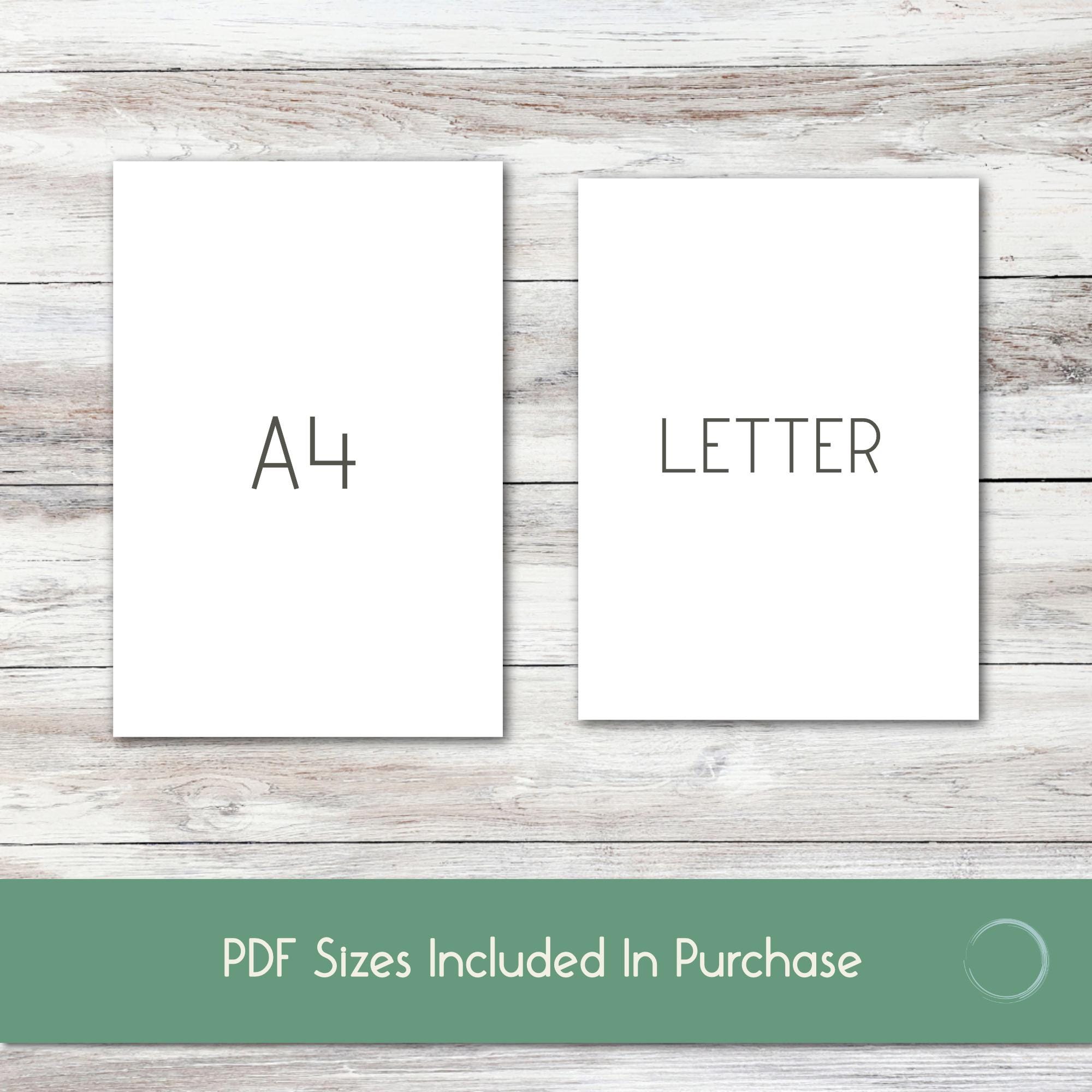 Seasons Scavenger Hunt Bundle | Printable Outdoor Activity | Spring ...