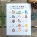 Kids Nature Scavenger Hunt Printable PDF - Outdoor Adventure Activity ...