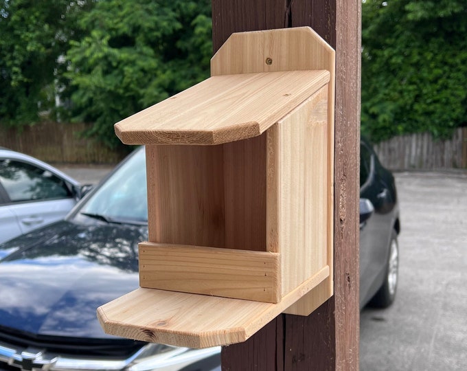 Parakeet Nest Box - Etsy