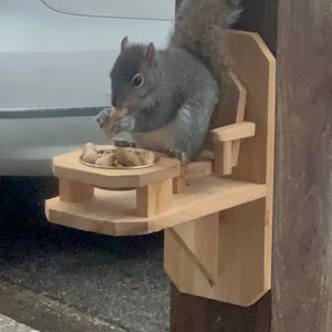 Enjoy Your Backyard More With an Entertaining Cedar Chair Squirrel/bird ...