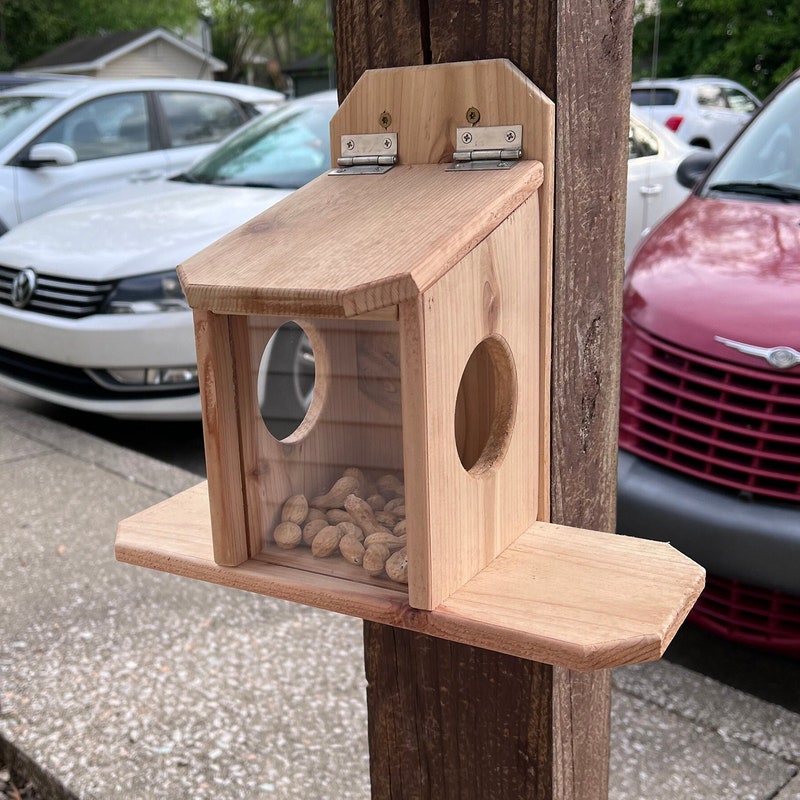 Bird House Predator Guard - Etsy