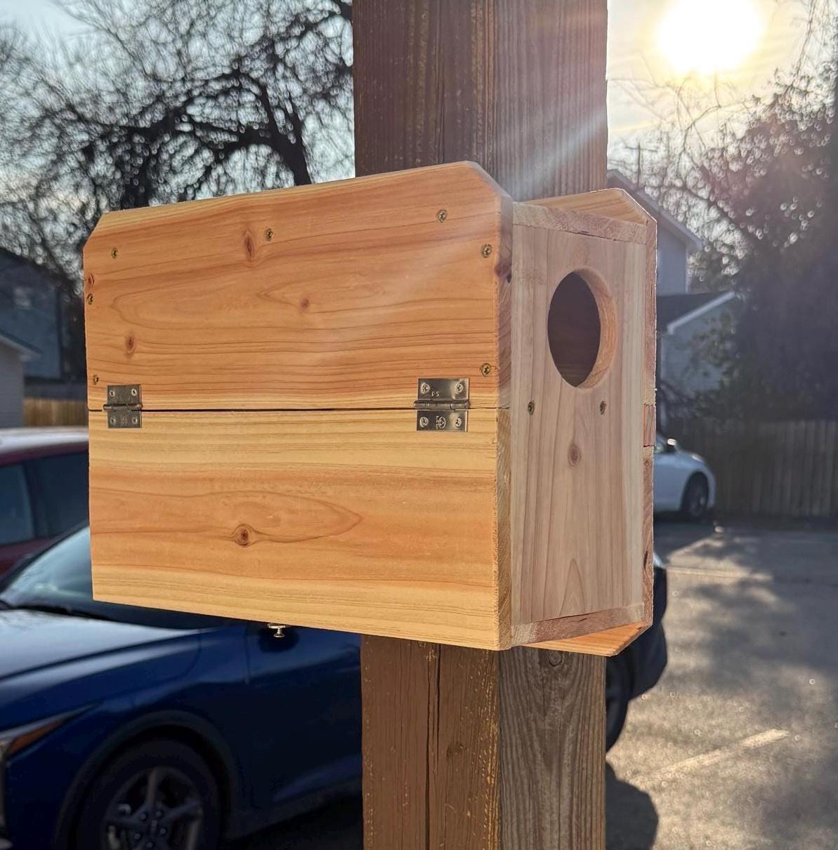 Extra Large Cedar Squirrel Nesting Box With Predator Guard - Etsy