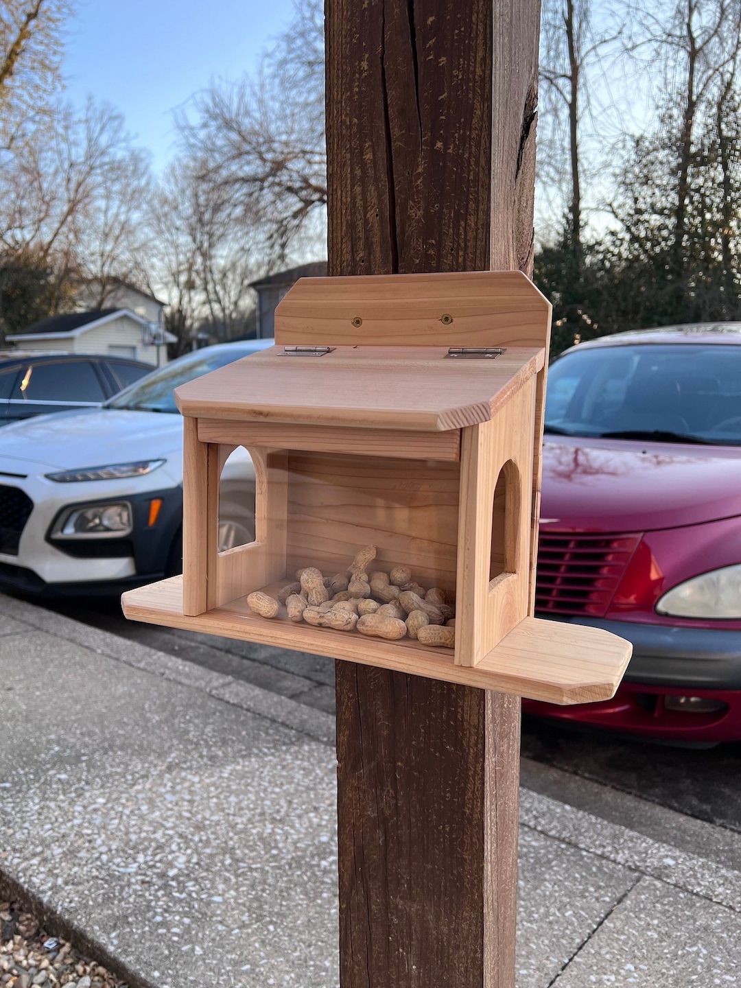 Enjoy Your Backyard More With Entertaining Large Cedar Squirrel/bird ...