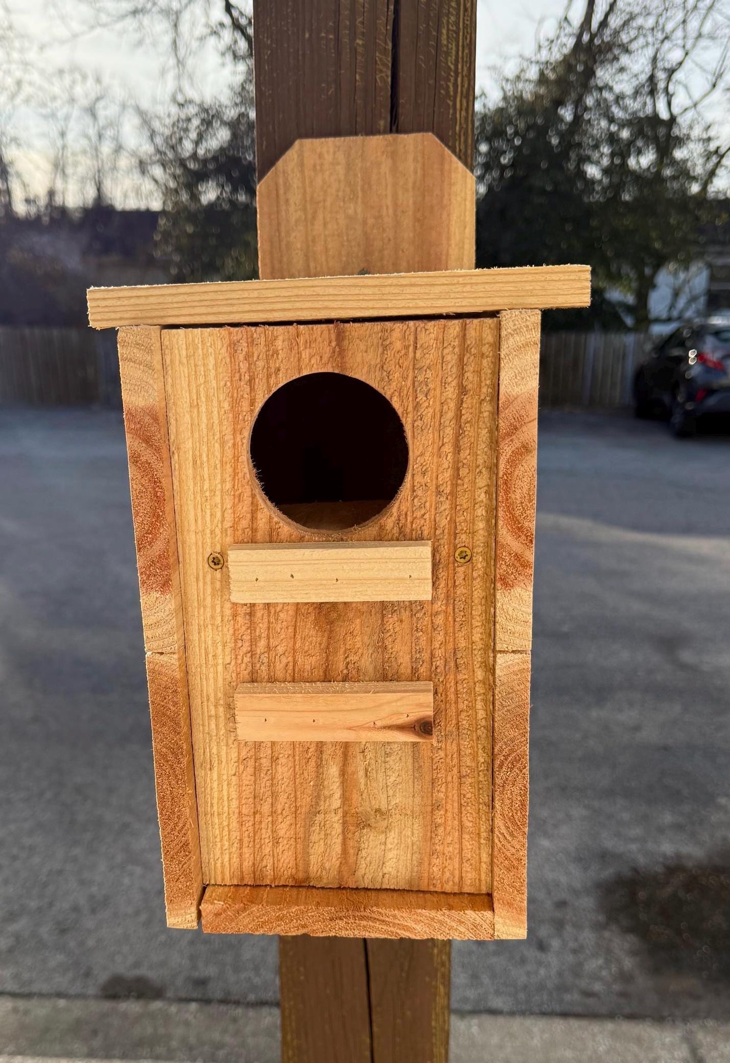 Extra Large Cedar Open Squirrel Nesting Box With Inside Predator Guard ...