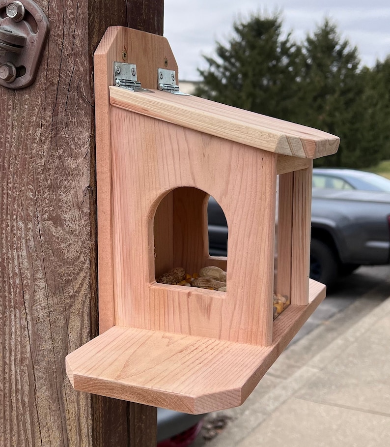 Enjoy Your Backyard More With an Entertaining Cedar Squirrel/bird Dual ...