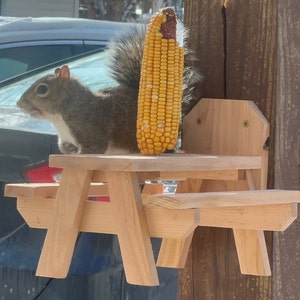 Enjoy Your Backyard More With an Entertaining Cedar Squirrel Mini ...