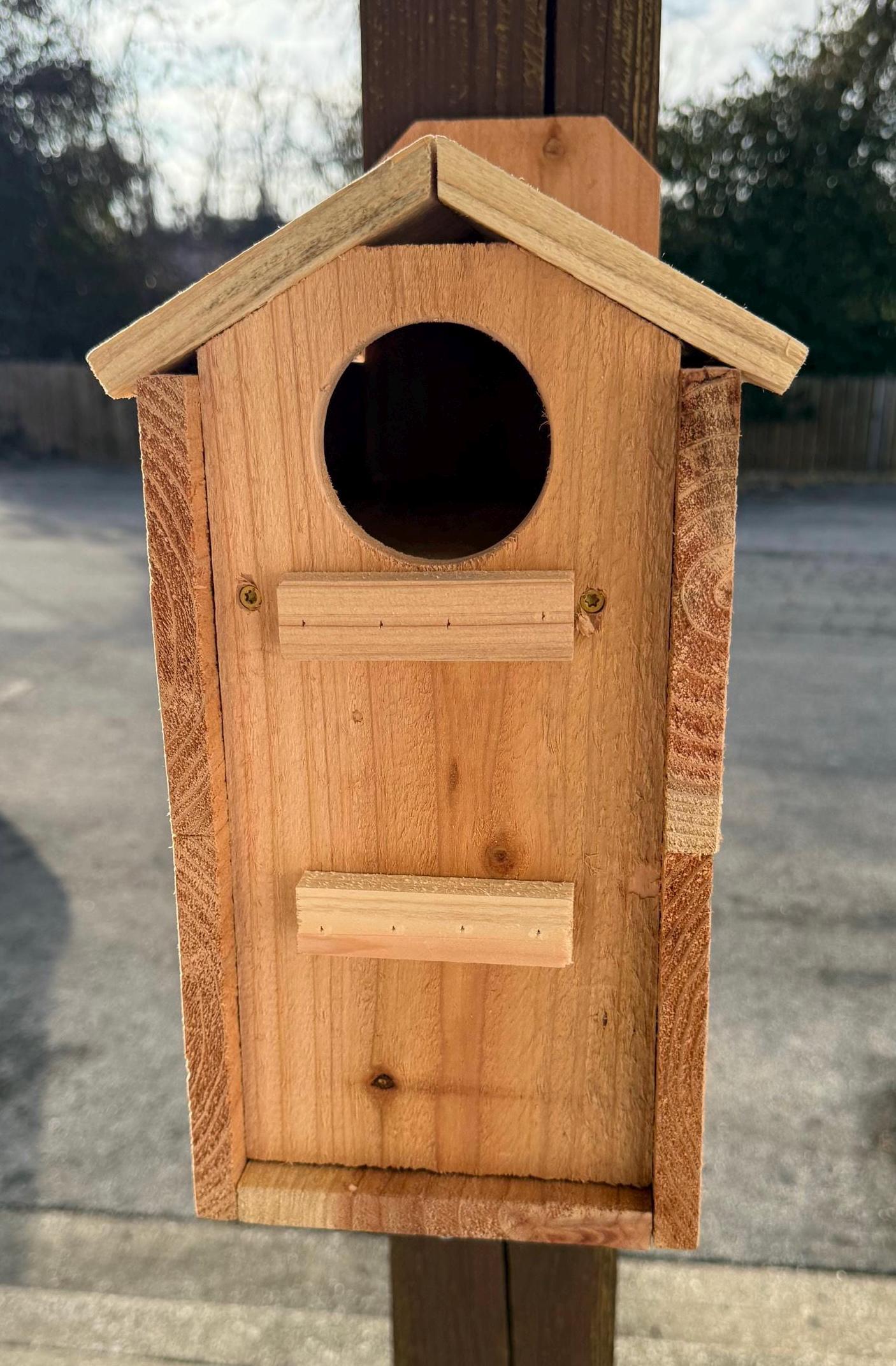 Extra Large Cedar Dual Compartments Squirrel Nesting Box With Inside ...