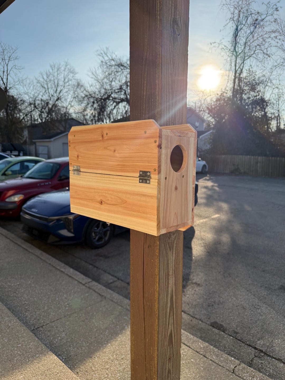 Extra Large Cedar Squirrel Nesting Box With Predator Guard - Etsy