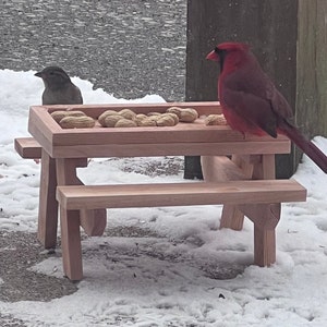 Enjoy Your Backyard More With an Entertaining Cedar Squirrel or Bird ...