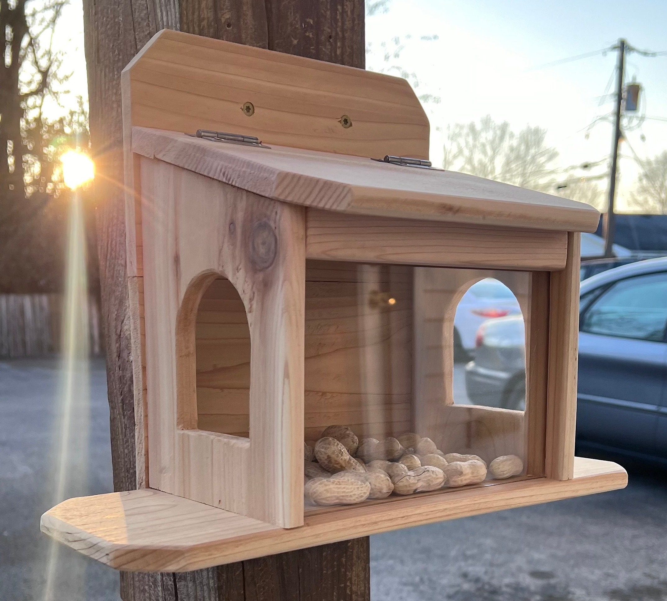 Enjoy Your Backyard More With Entertaining Large Cedar Squirrel/bird ...