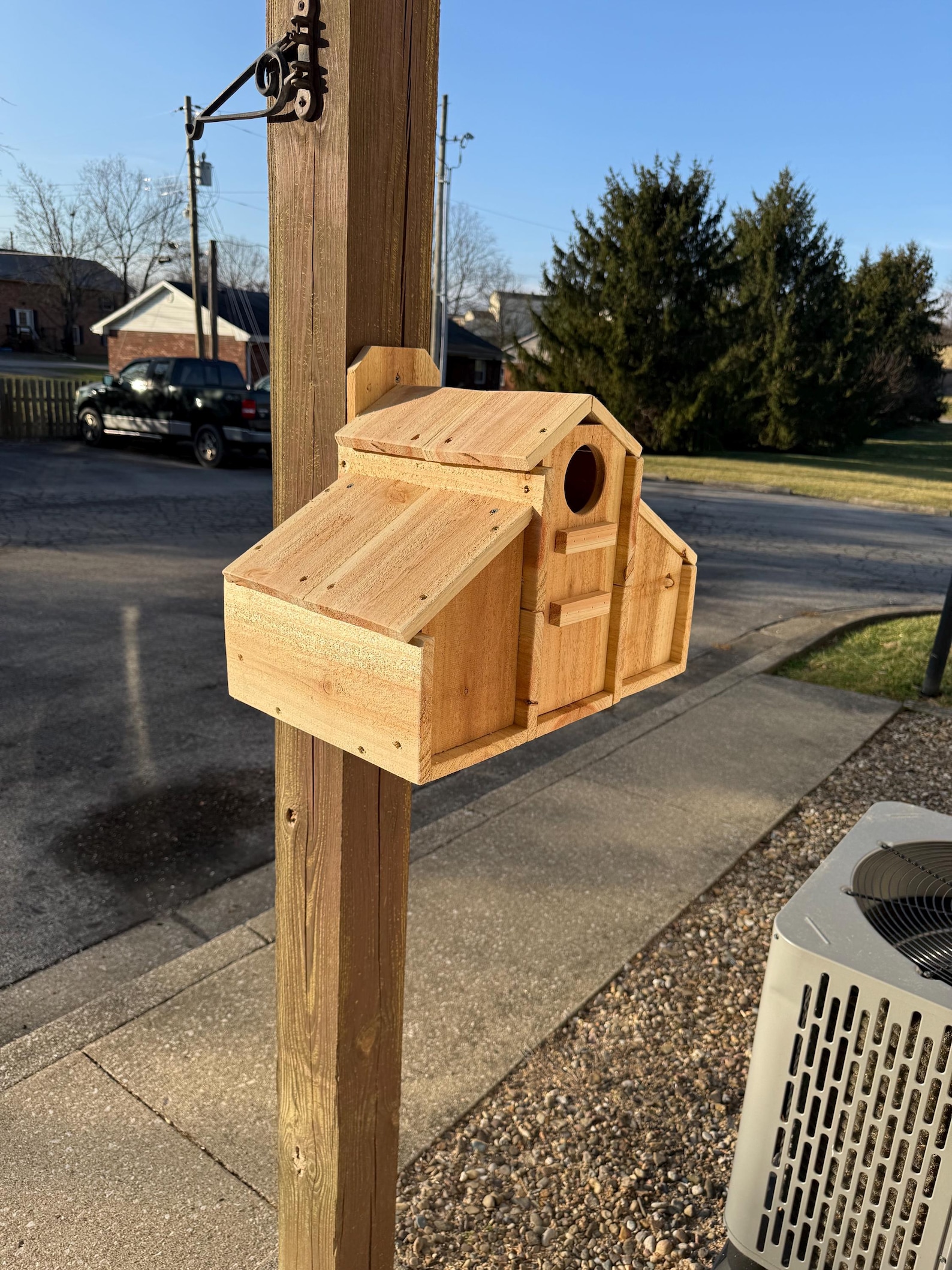 Cedar Squirrel Mansion Nesting Box With Dual Compartments and Inside ...