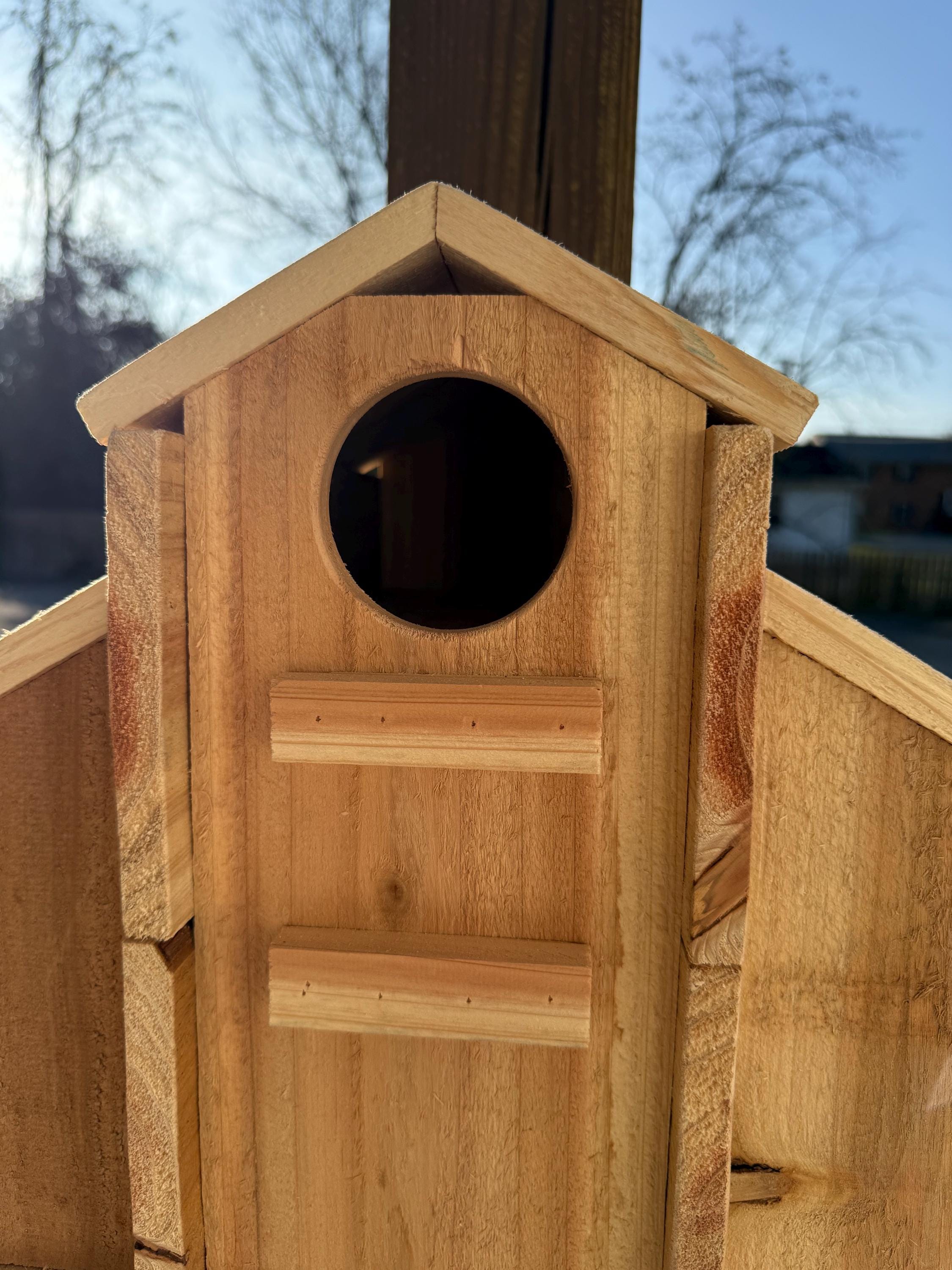 Cedar Squirrel Mansion Nesting Box With Dual Compartments and Inside ...