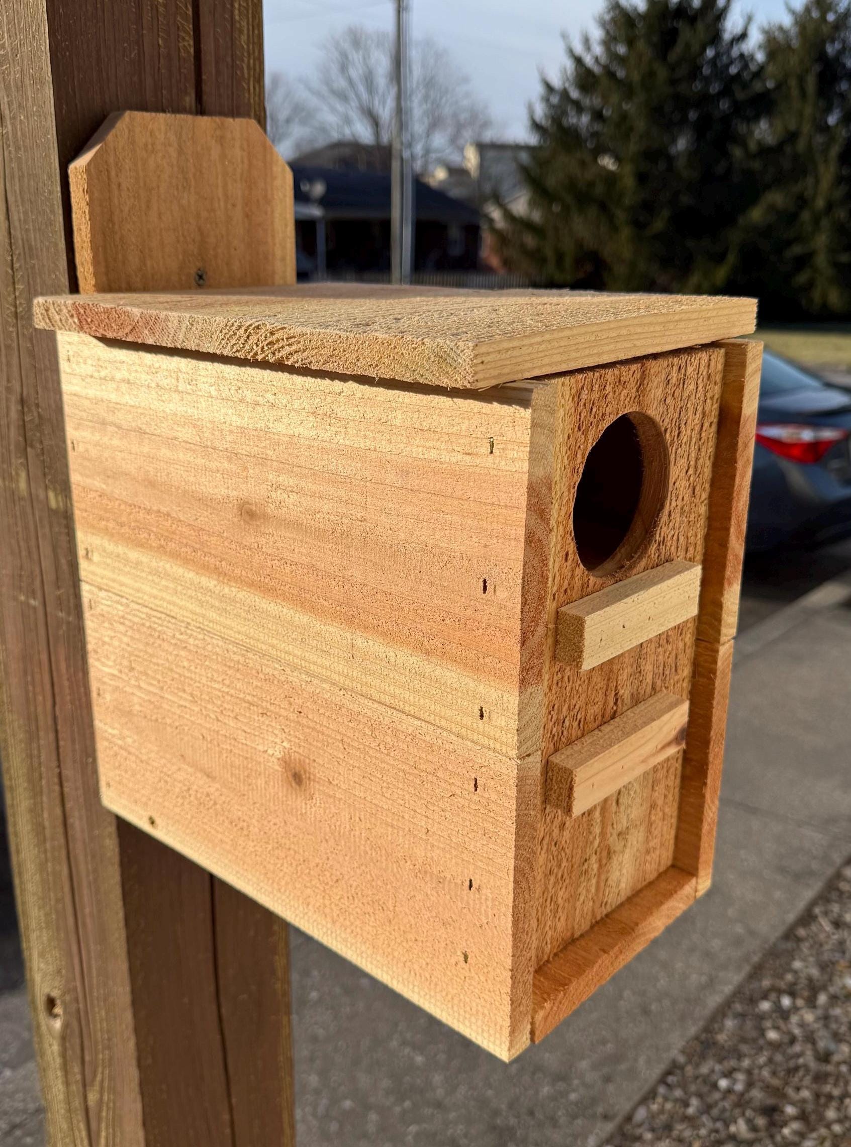 Extra Large Cedar Open Squirrel Nesting Box With Inside Predator Guard ...