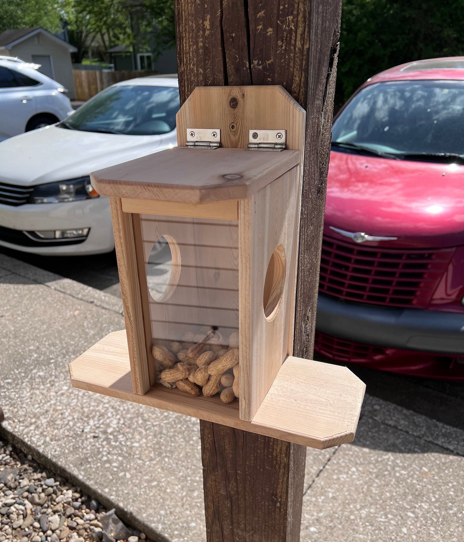 Enjoy Your Backyard More With an Entertaining Cedar Squirrel/bird Dual ...