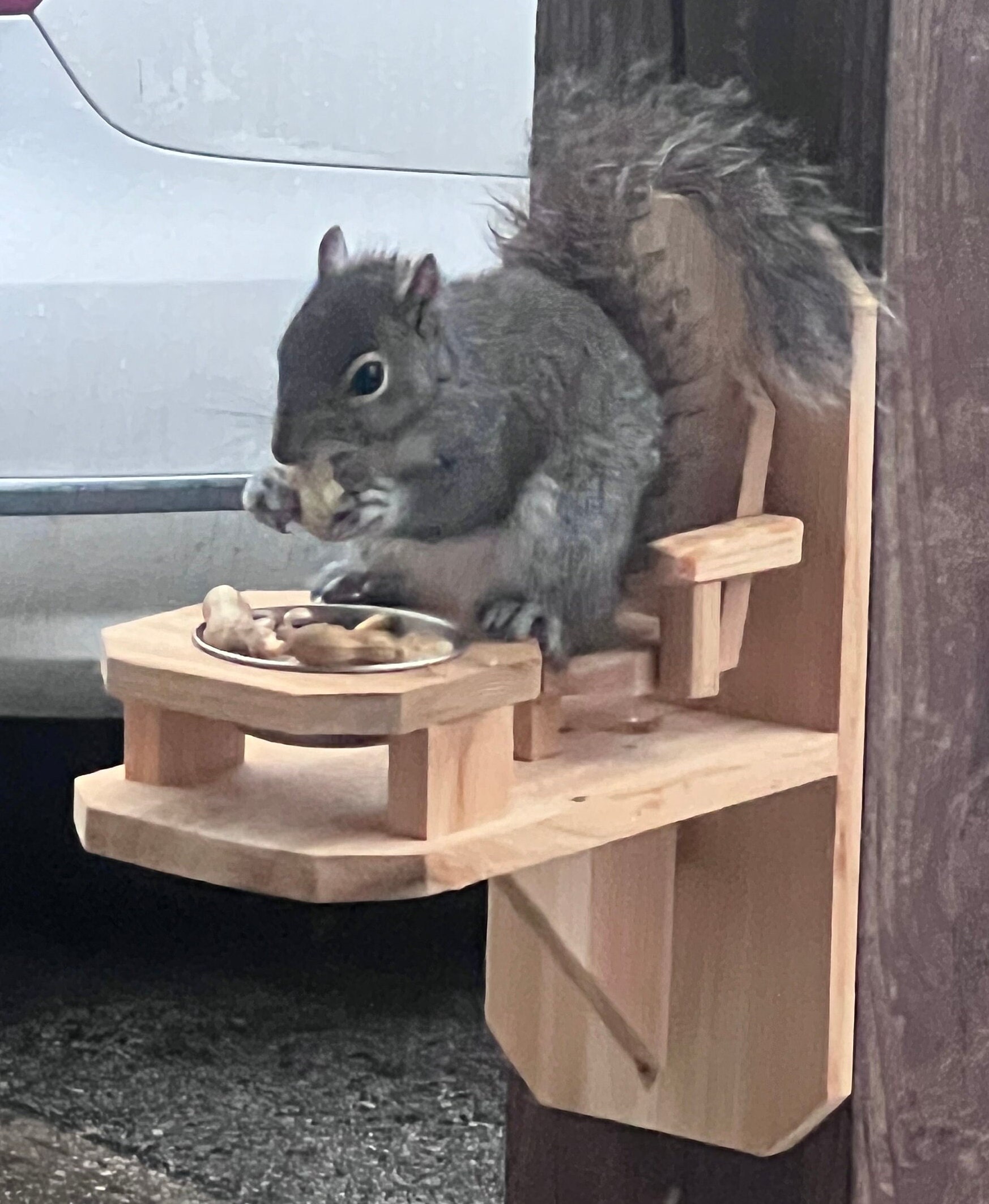 Enjoy Your Backyard More With an Entertaining Cedar Chair Squirrel/bird ...