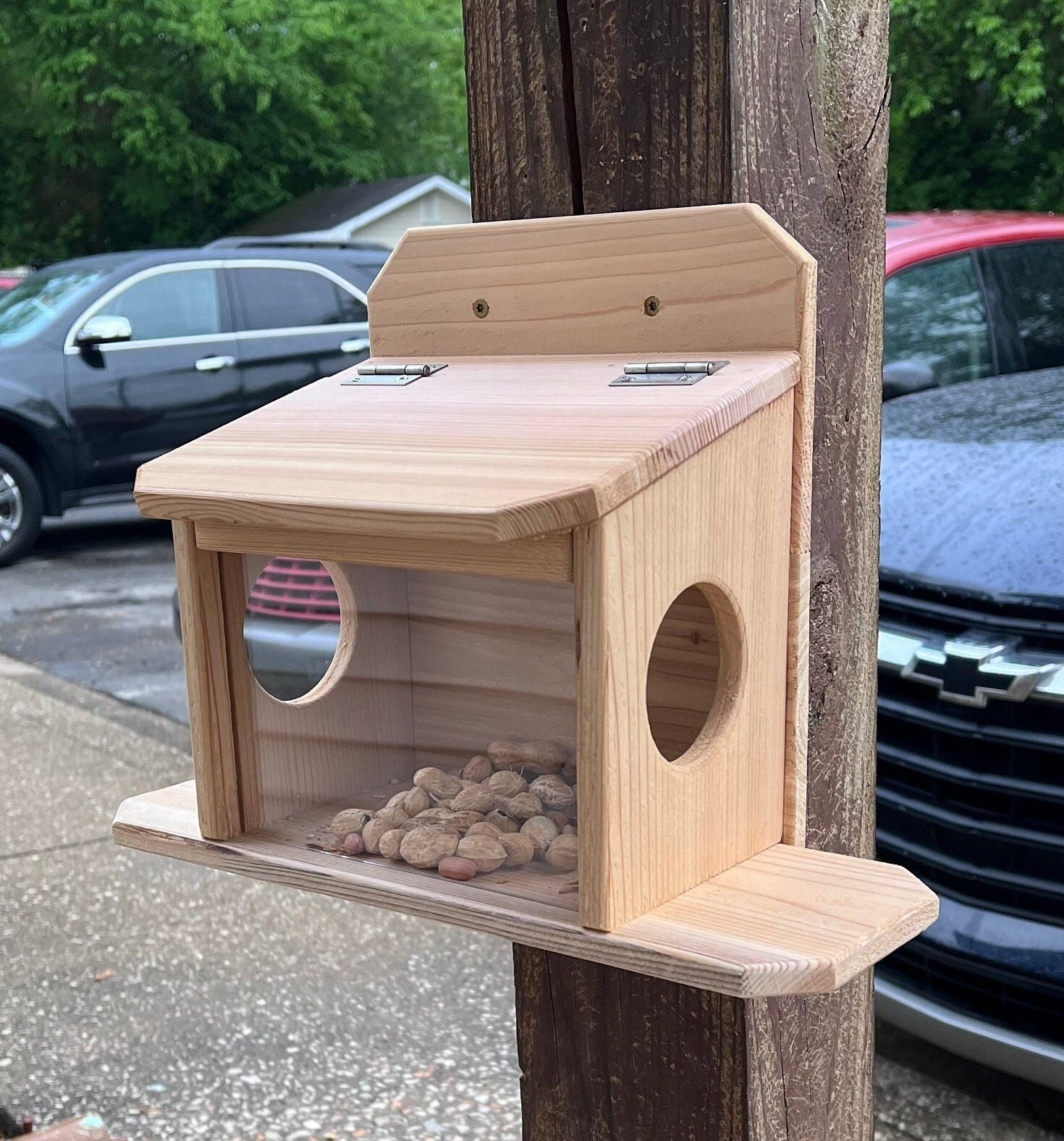 Enjoy Your Backyard More With Entertaining Large Cedar Squirrel/bird ...
