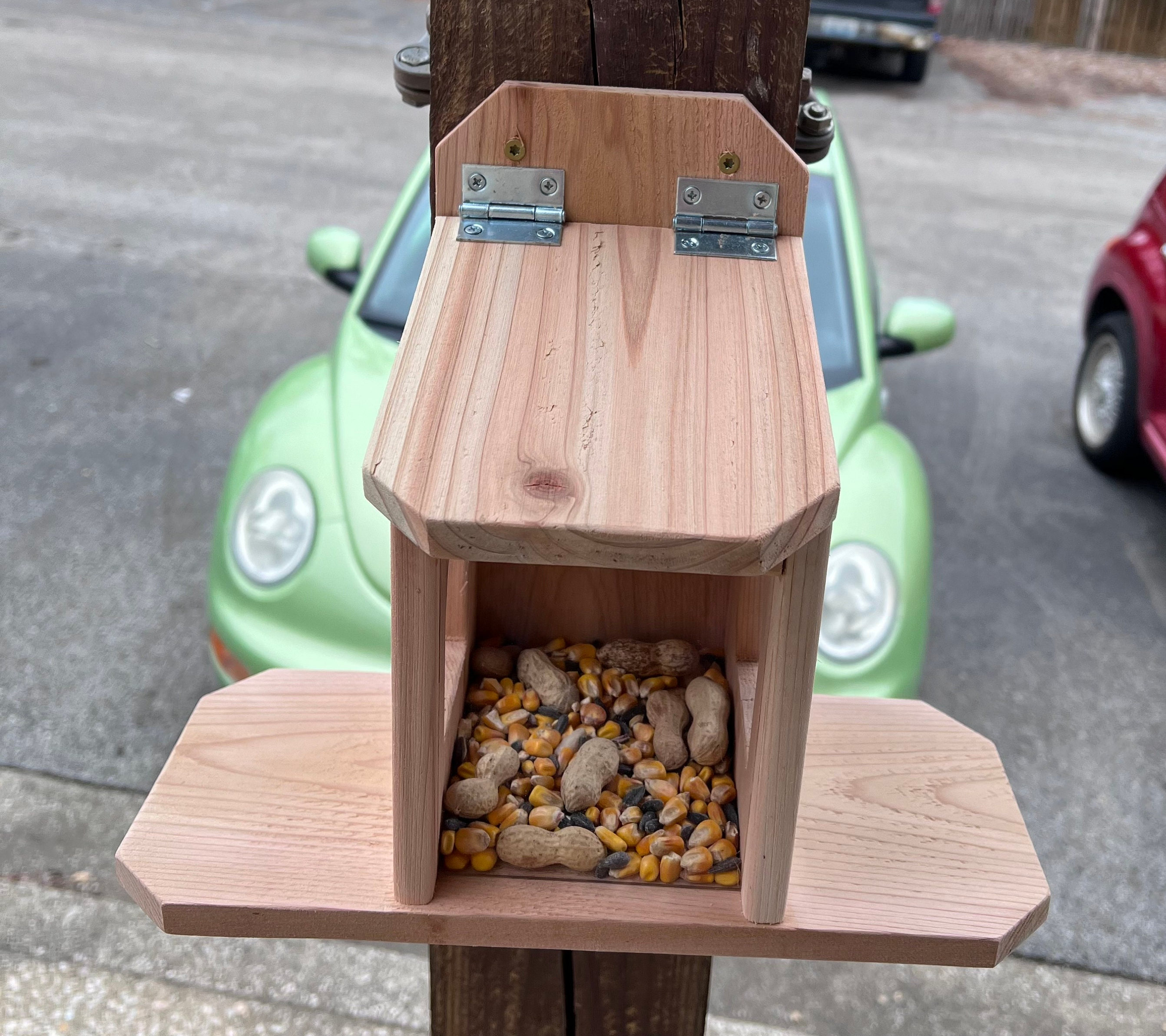 Enjoy Your Backyard More With an Entertaining Cedar Squirrel/bird Dual ...