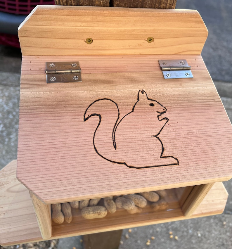 Enjoy Your Backyard More With Entertaining Large Cedar Squirrel/bird ...