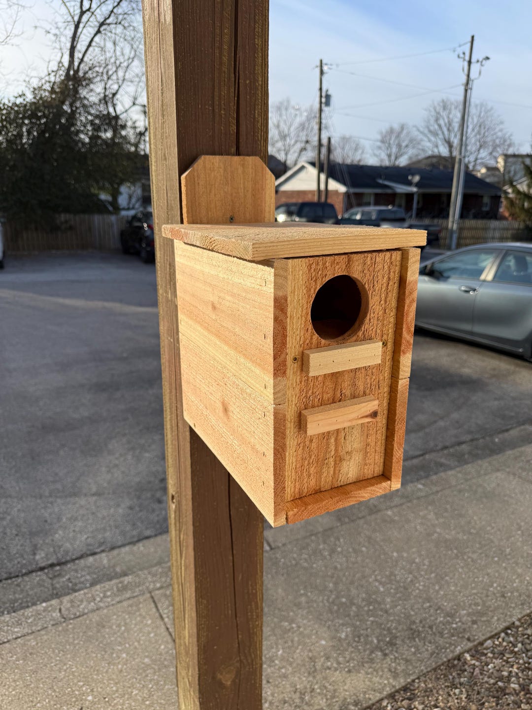 Extra Large Cedar Open Squirrel Nesting Box With Inside Predator Guard ...