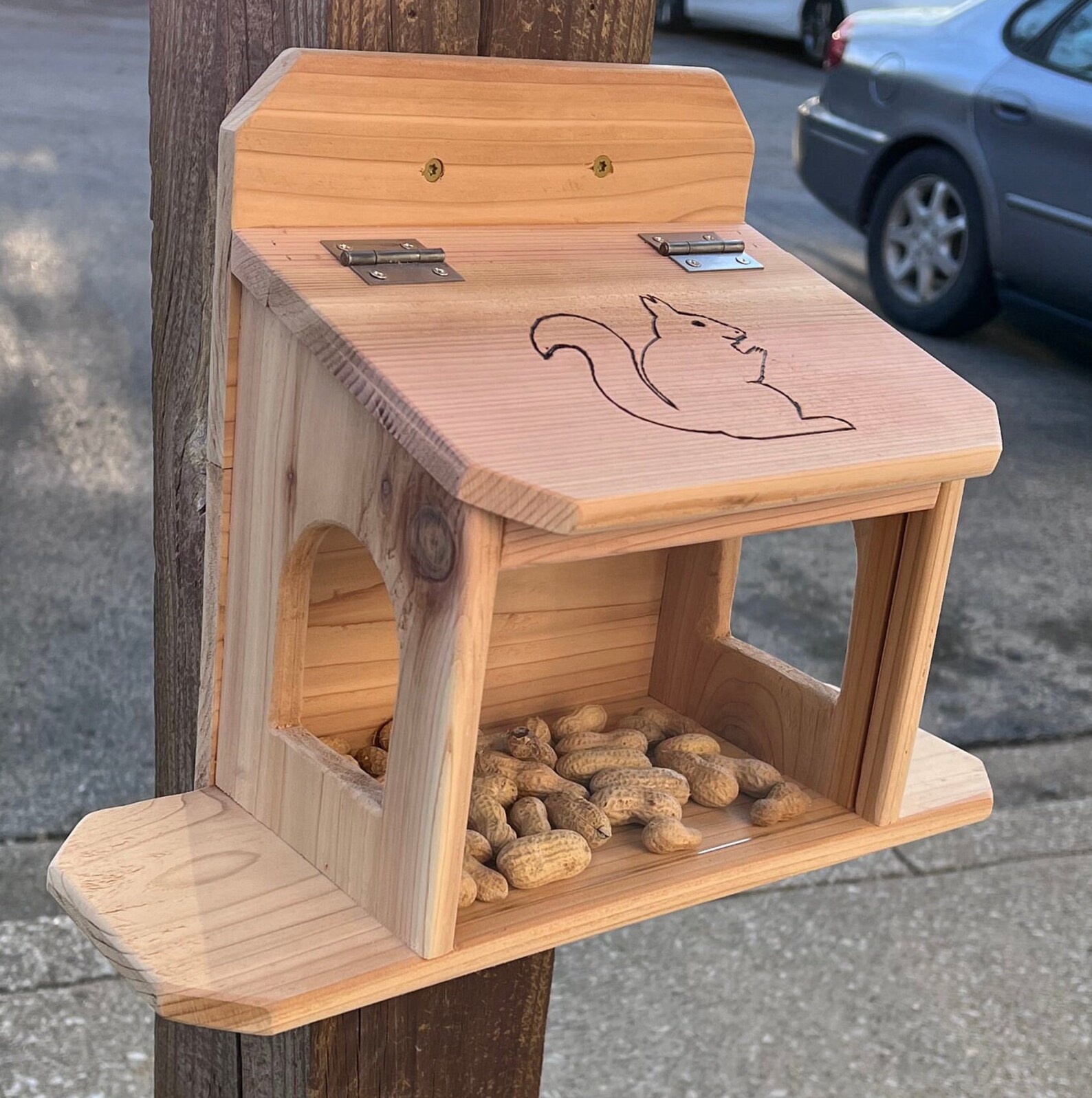 Enjoy Your Backyard More With Entertaining Large Cedar Squirrel/bird ...
