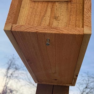 Extra Large Cedar Open Squirrel Nesting Box With Inside Predator Guard ...