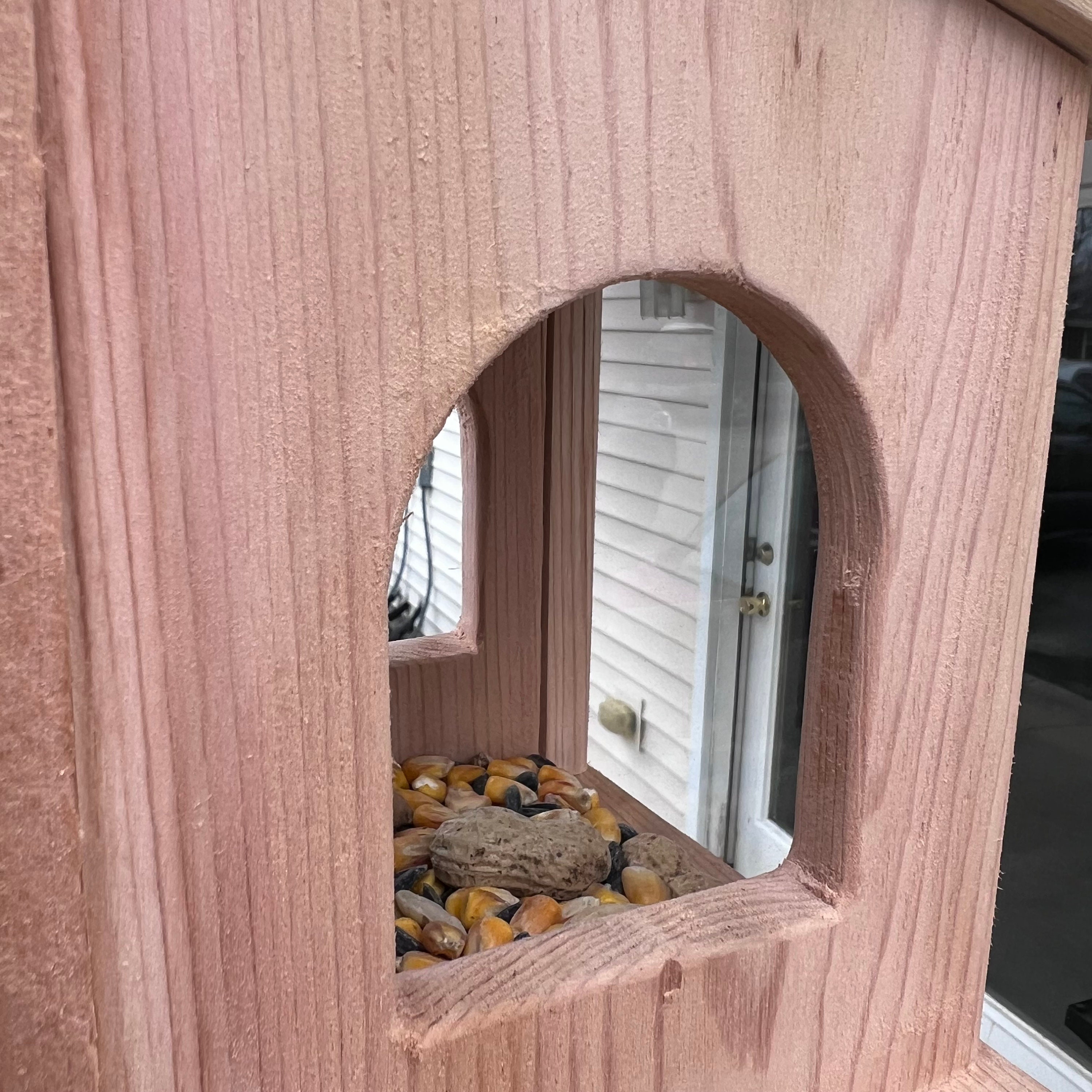 Enjoy Your Backyard More With an Entertaining Cedar Squirrel/bird Dual ...
