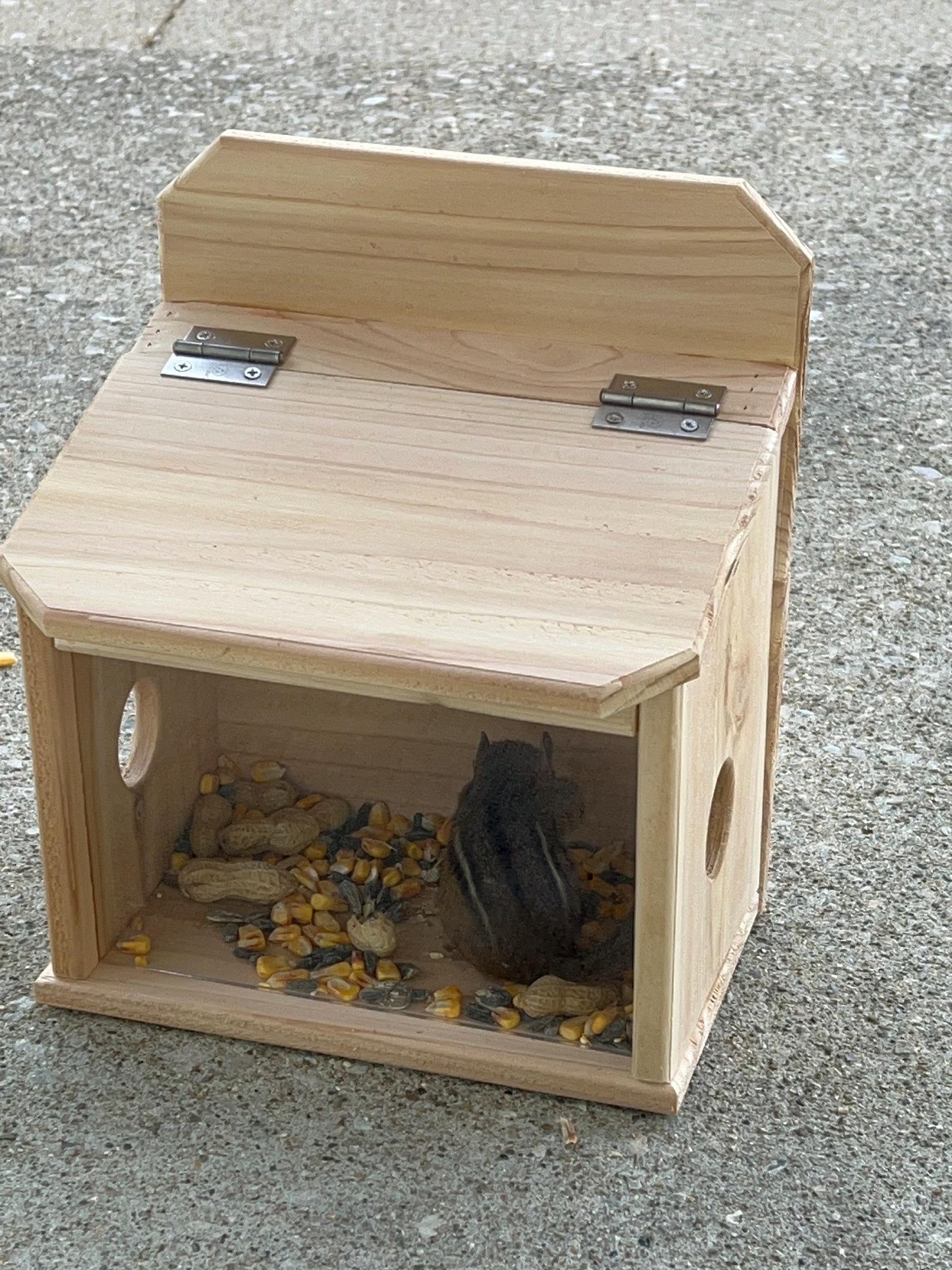 Large Cedar Chipmunk Dual Access Feeder With Predator Guard - Etsy