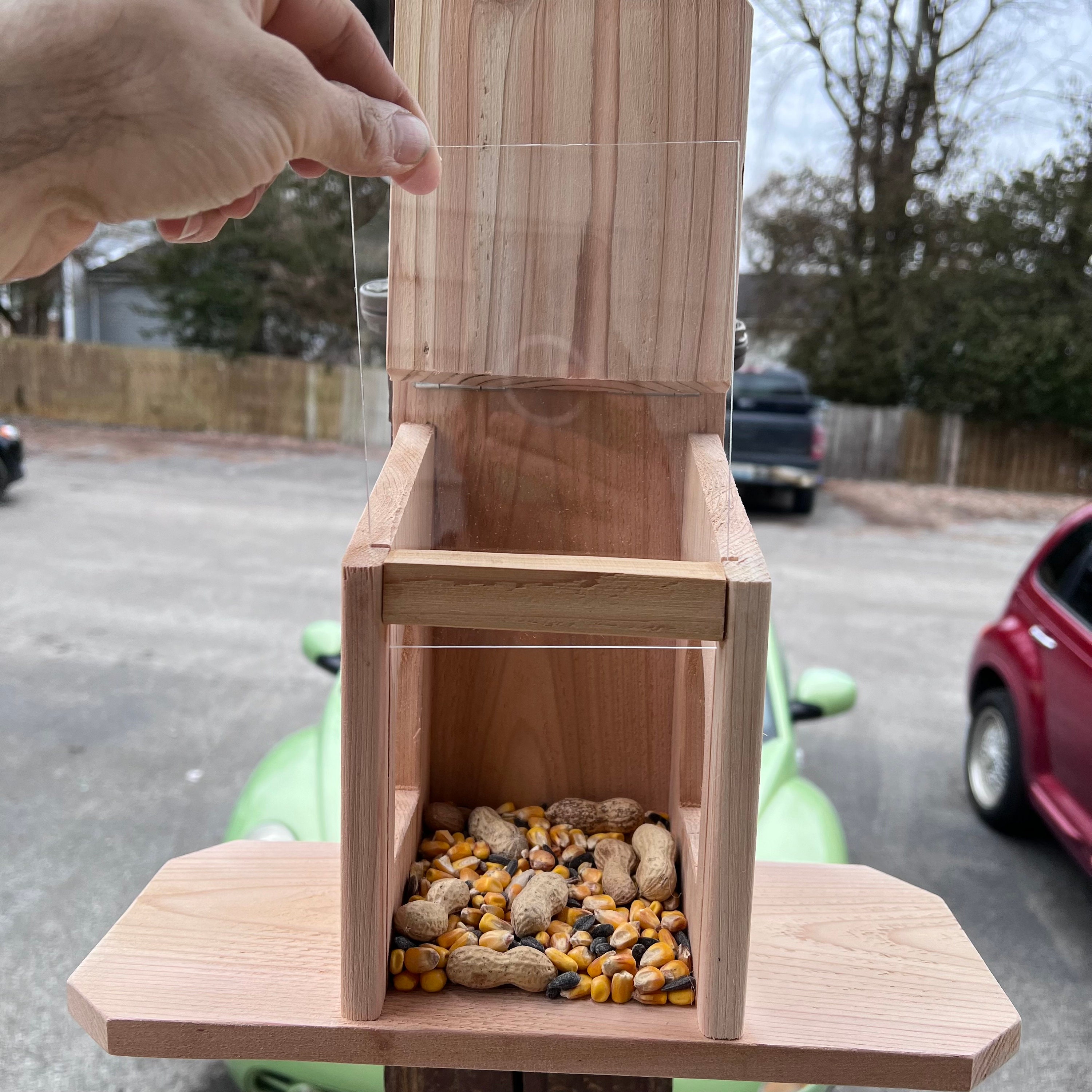 Enjoy Your Backyard More With an Entertaining Cedar Squirrel/bird Dual ...