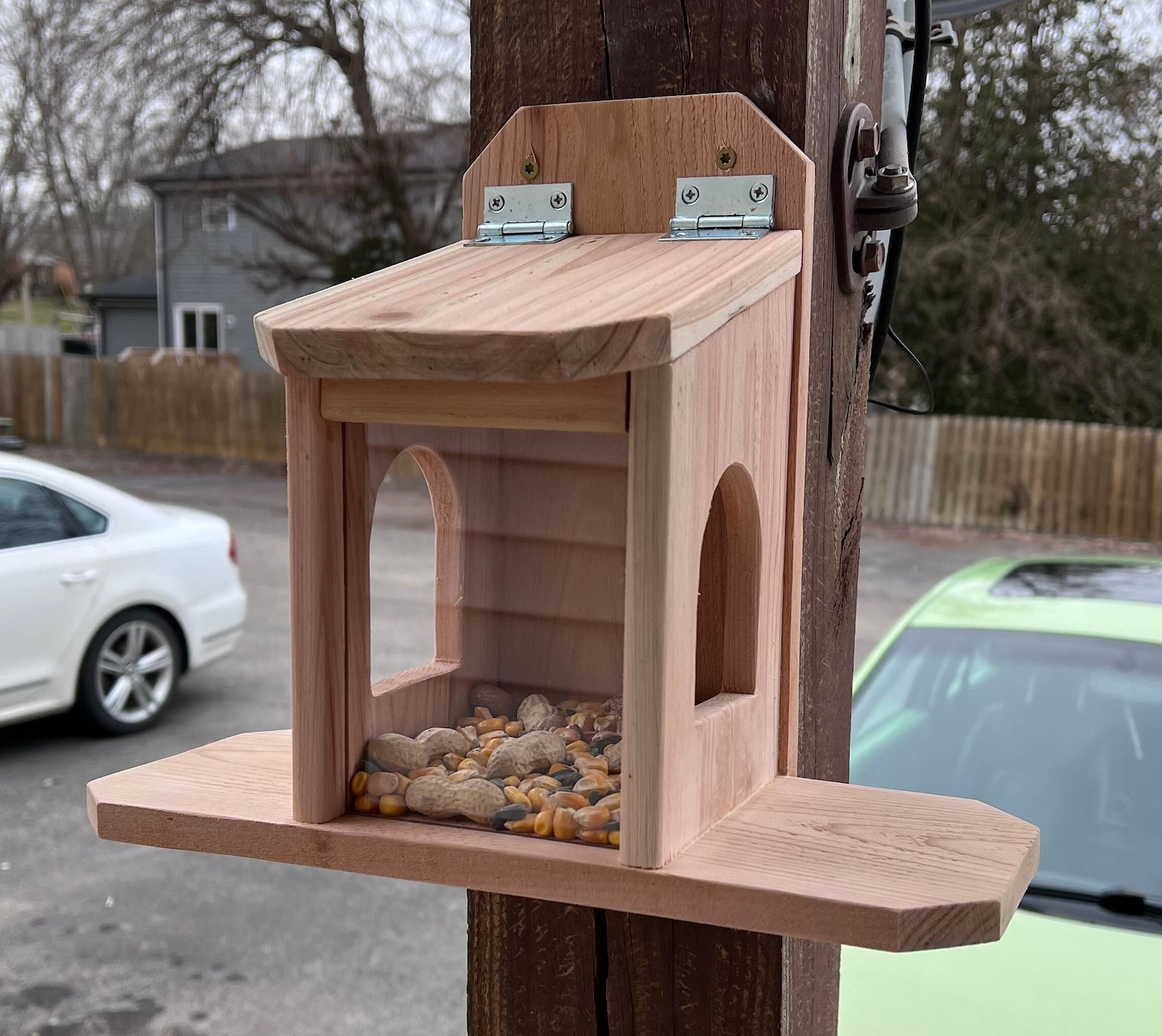 Enjoy Your Backyard More With an Entertaining Cedar Squirrel/bird Dual ...