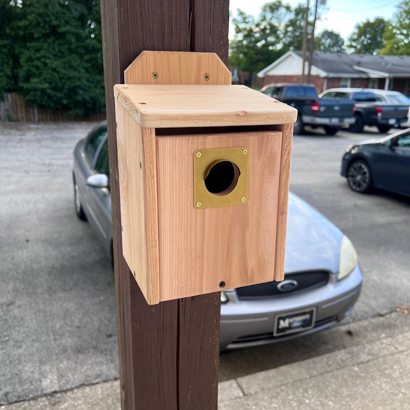 Bird House Predator Guard - Etsy