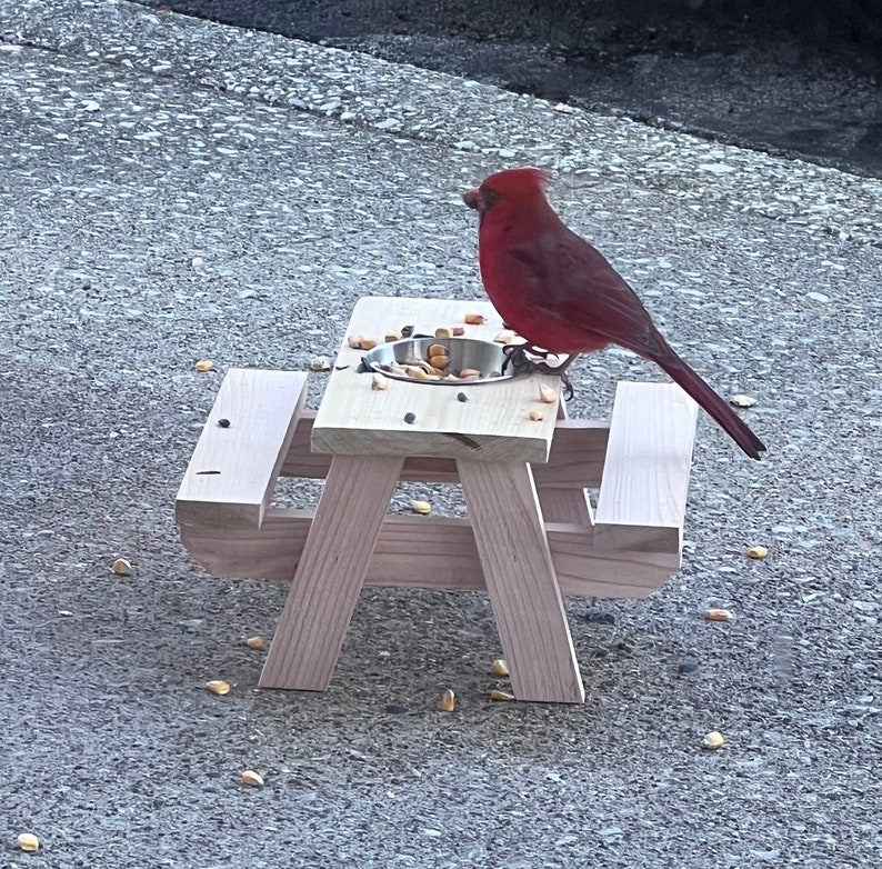 Enjoy Your Backyard More With an Entertaining Cedar Squirrel or Bird ...