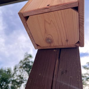 Cedar Bluebird Nesting House With Predator Guard - Etsy