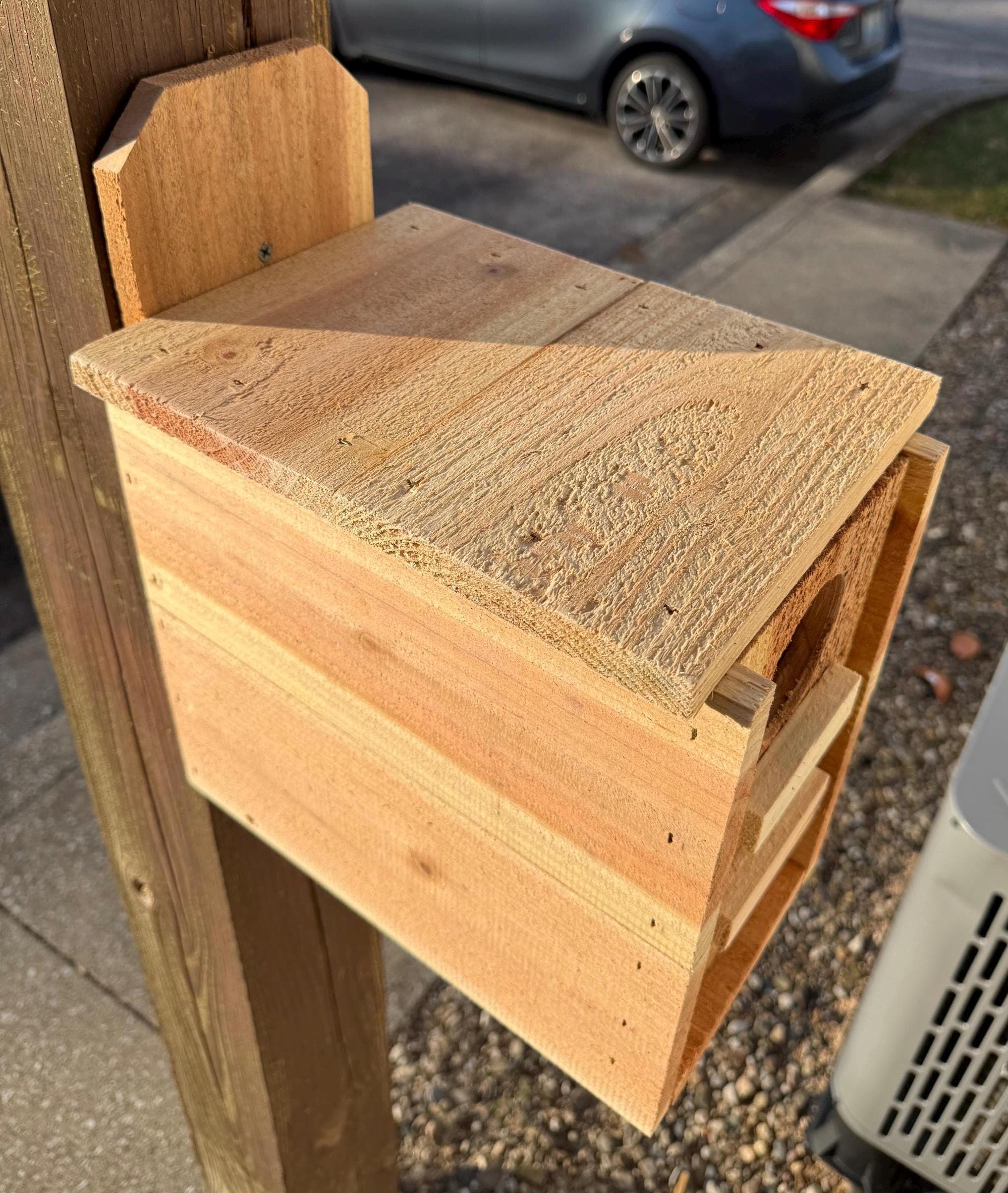 Extra Large Cedar Open Squirrel Nesting Box With Inside Predator Guard ...