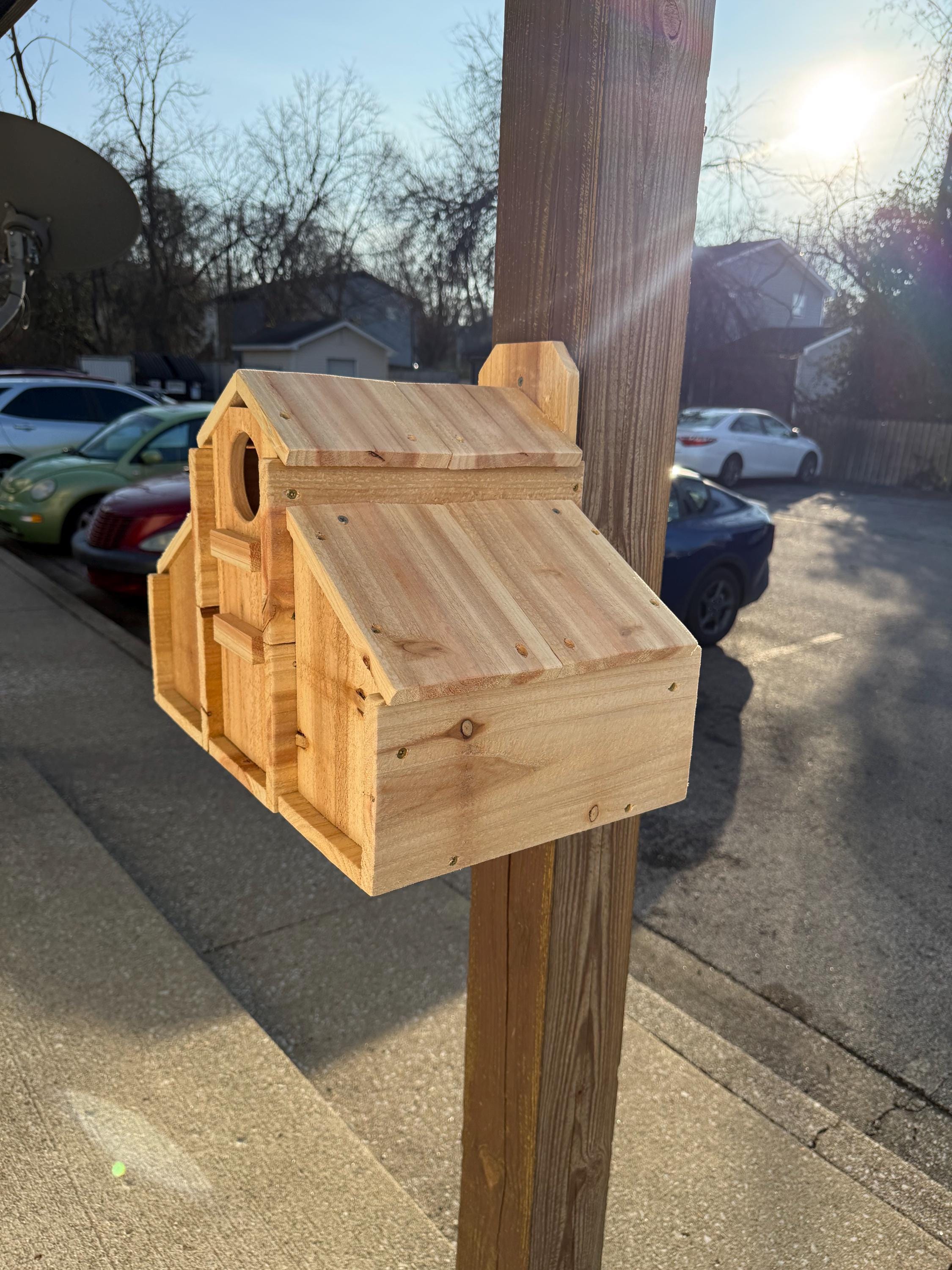 Cedar Squirrel Mansion Nesting Box With Dual Compartments and Inside ...