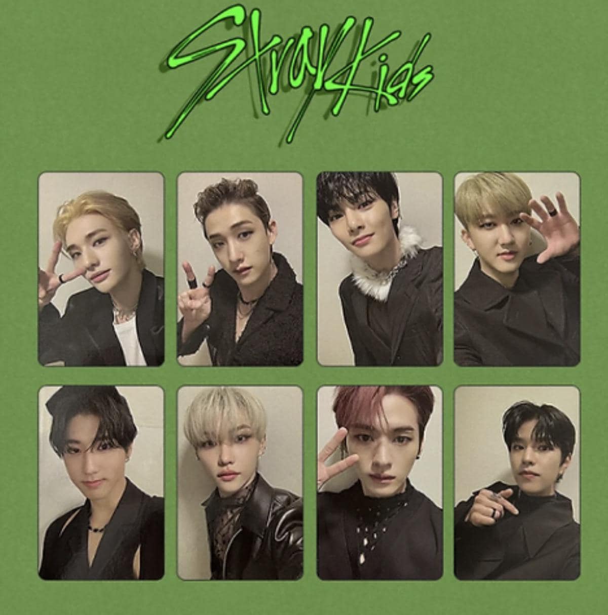 Official Stray Kids SKZ ODDINARY POB Solo Photocards - Etsy