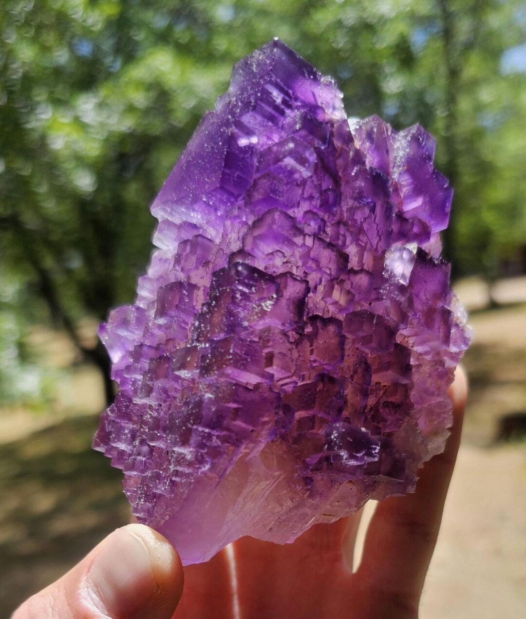 Fluorite, Lead Hill, Cave in Rock District, Hardin County, Illinois - Etsy