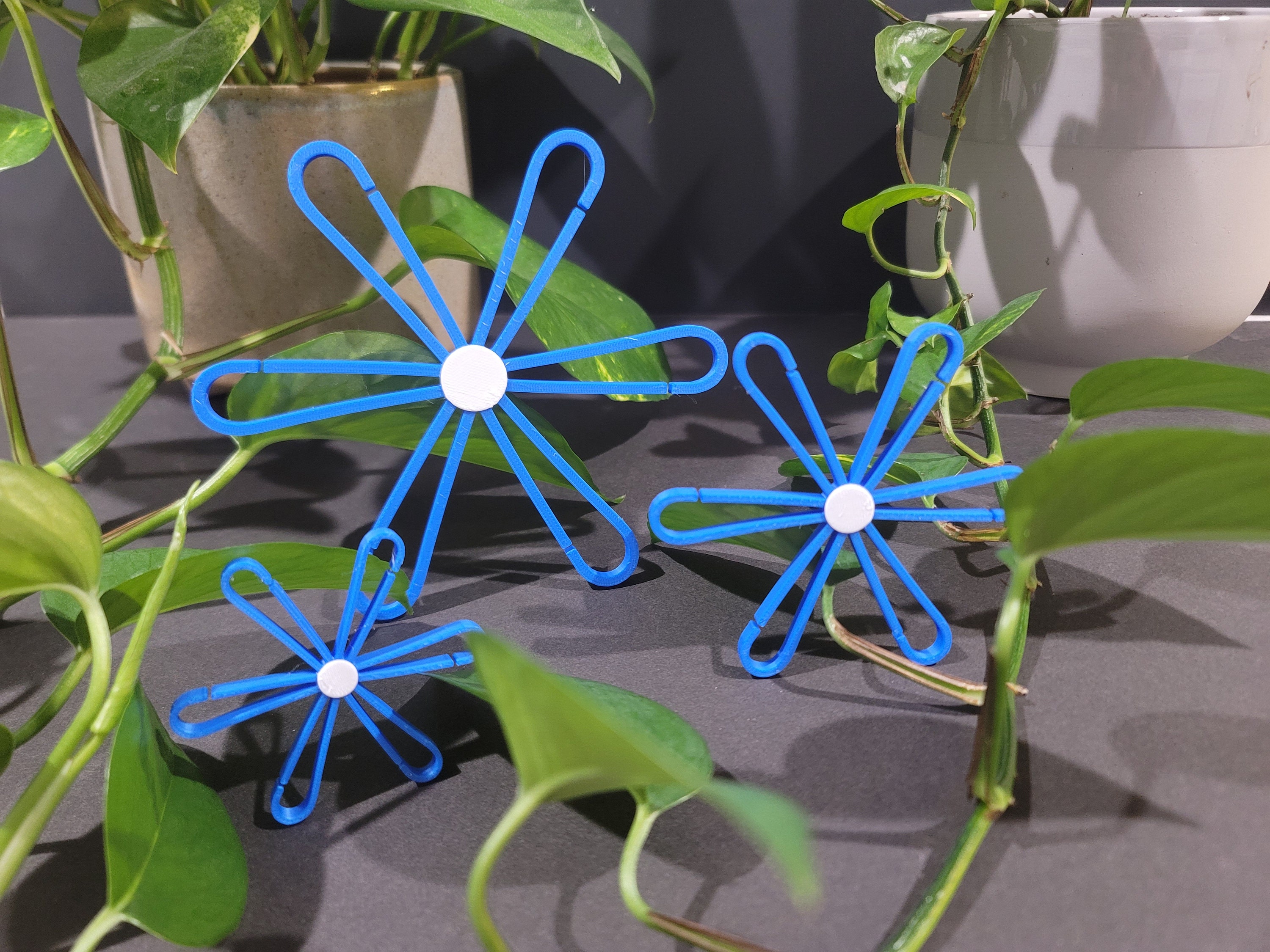 Flower Shaped Stem Holders - Plant Support - Plant Accessories - Etsy